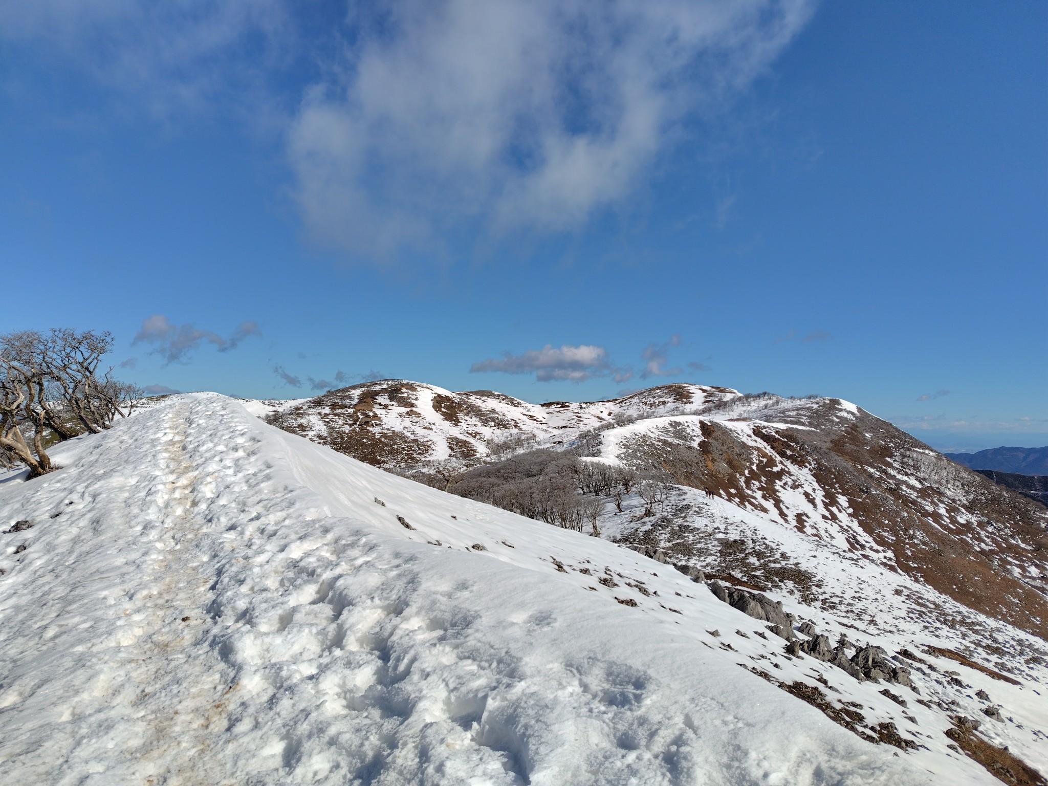 霊仙山 今畑ルートから榑ヶ畑ルート / あきさんの霊仙山の活動データ | YAMAP / ヤマップ