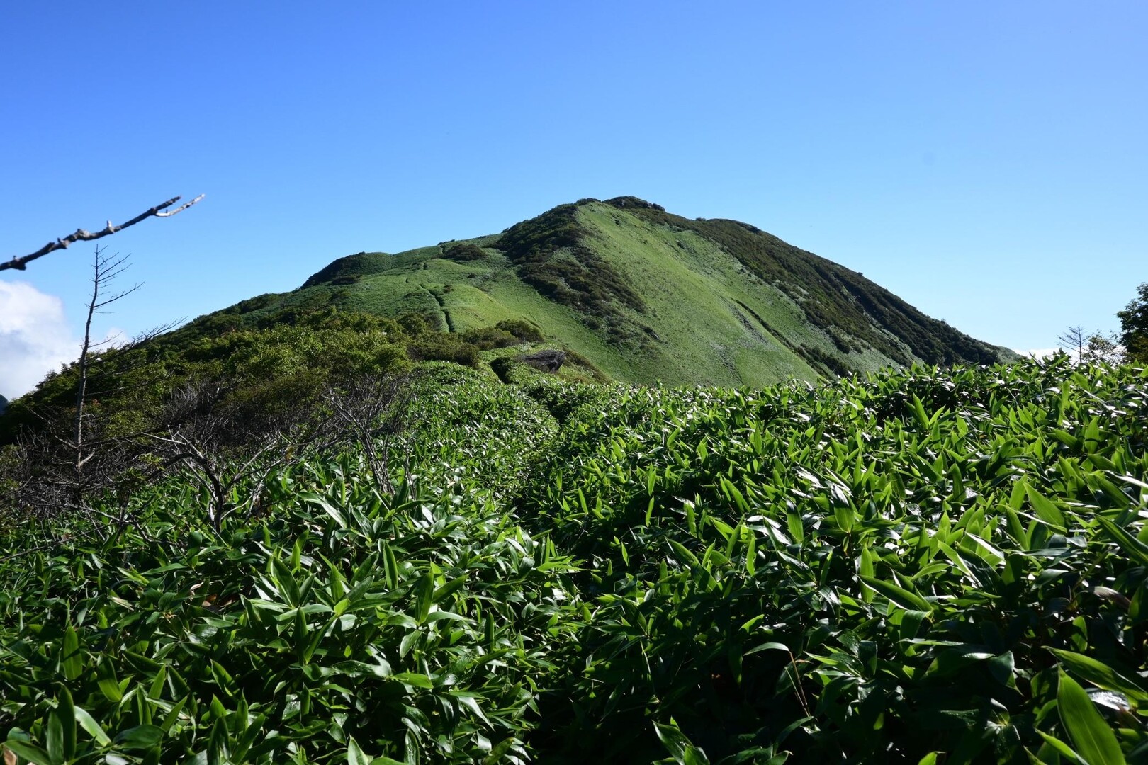 寒風山・笹ヶ峰 / KIDさんの笹ヶ峰・寒風山・平家平の活動データ | YAMAP / ヤマップ