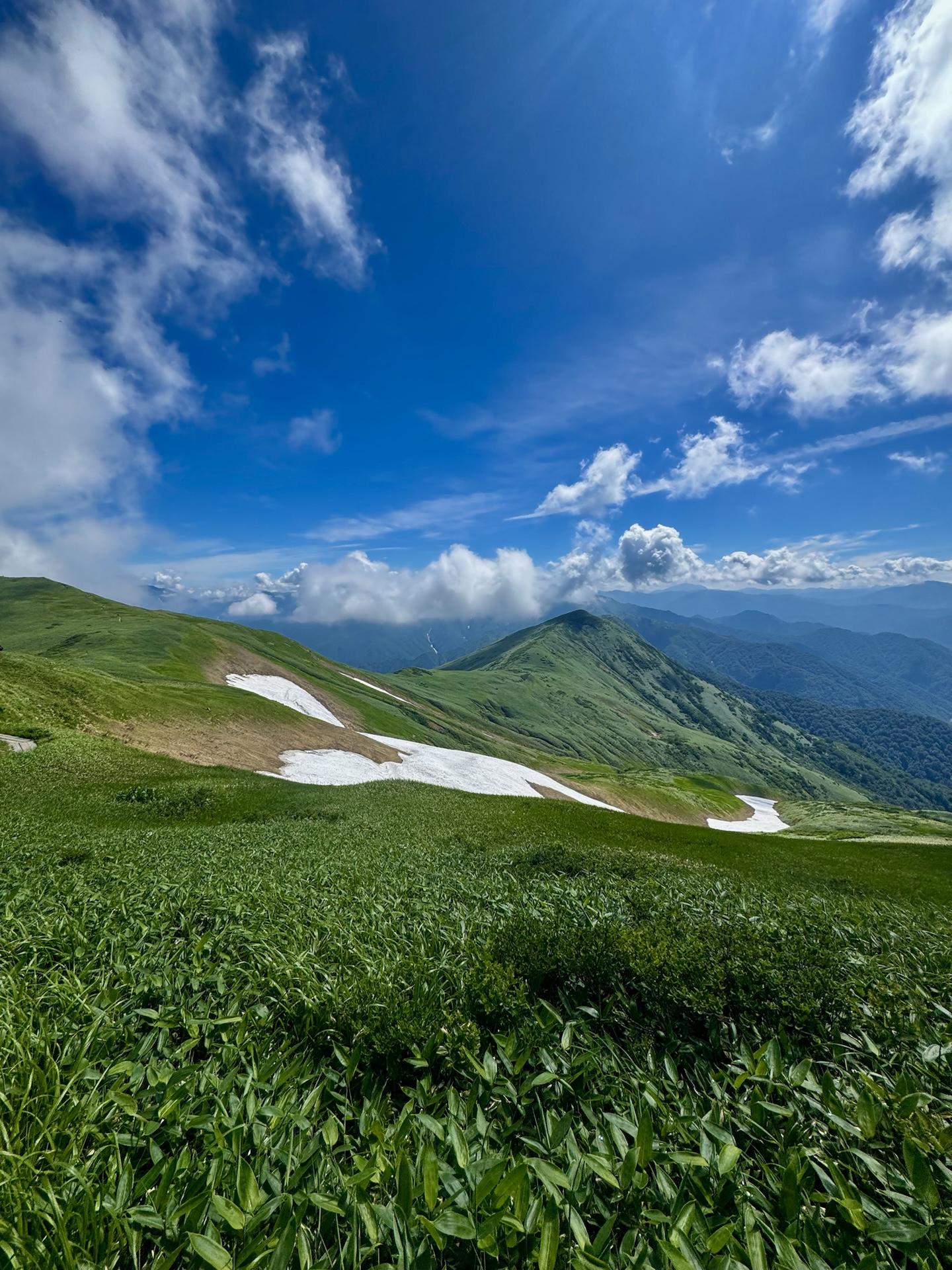巻機山 with 🥷 / akioさんの巻機山・割引岳・金城山の活動データ | YAMAP / ヤマップ