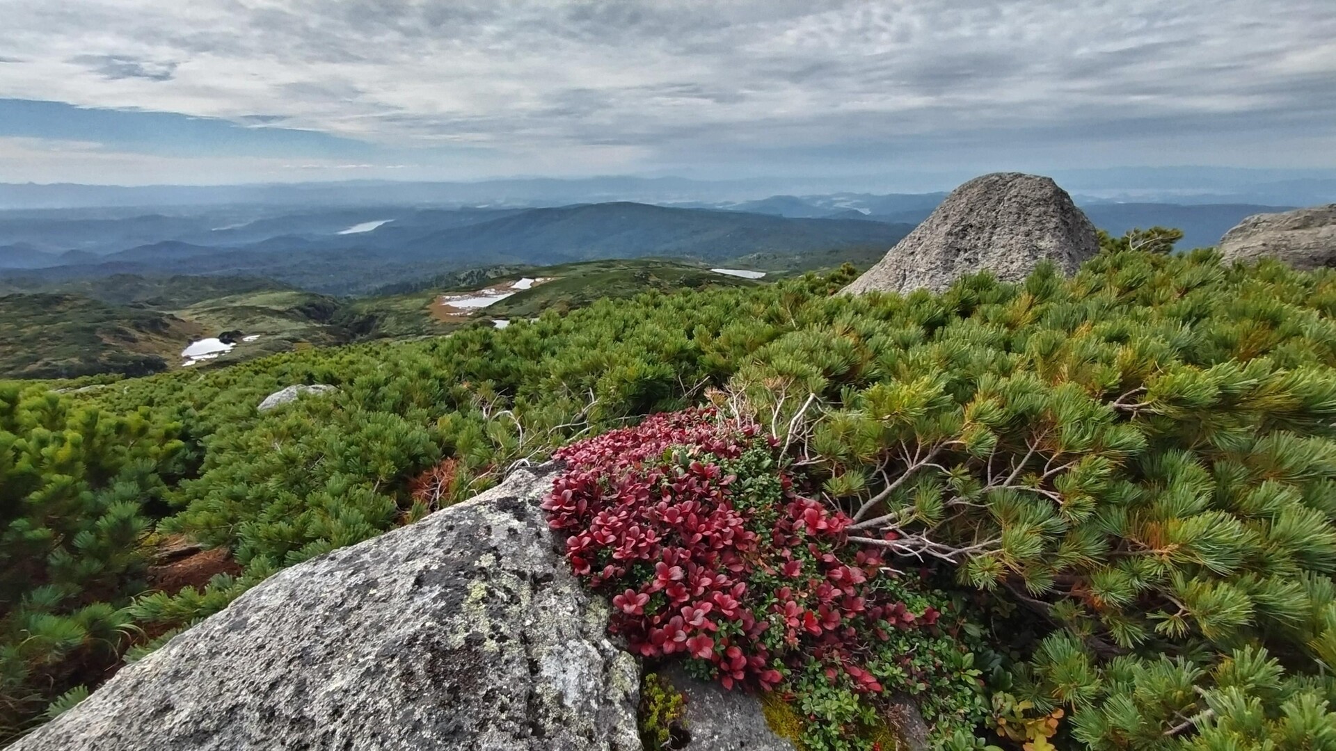 大雪山系・当麻乗越 2024-09-14 / chimaruさんの大雪山系・旭岳・トムラウシの活動データ | YAMAP / ヤマップ
