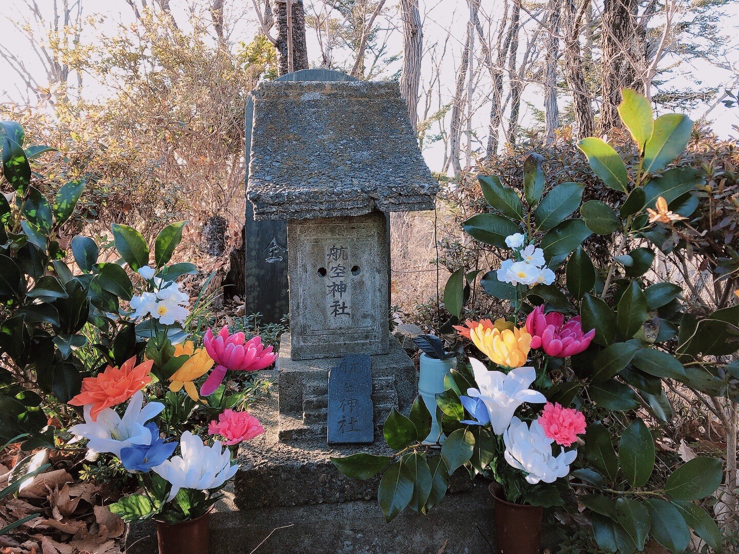 kiyoさんの投稿したフィールドメモ | YAMAP / ヤマップ