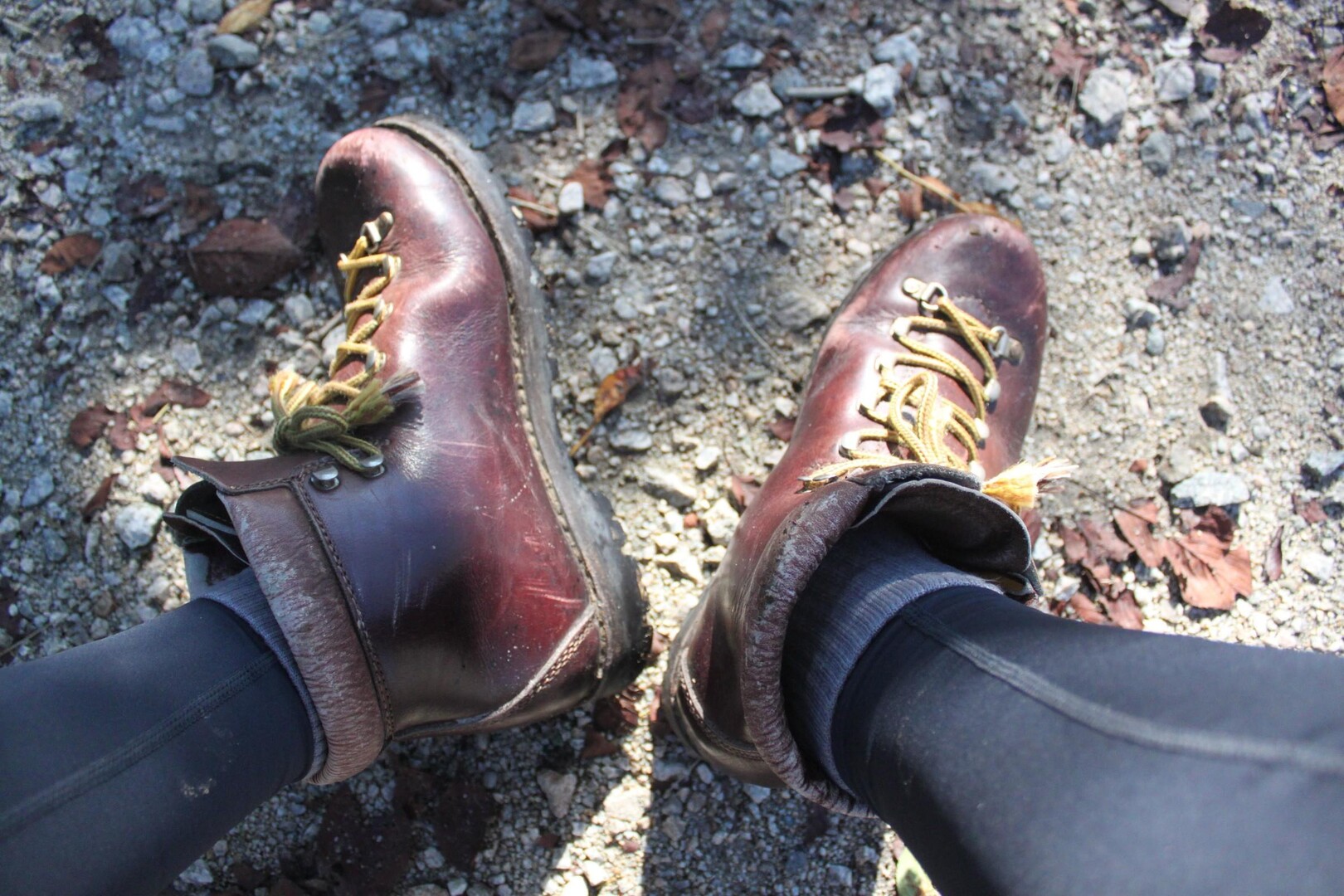 moppiのページ | YAMAP / ヤマップ