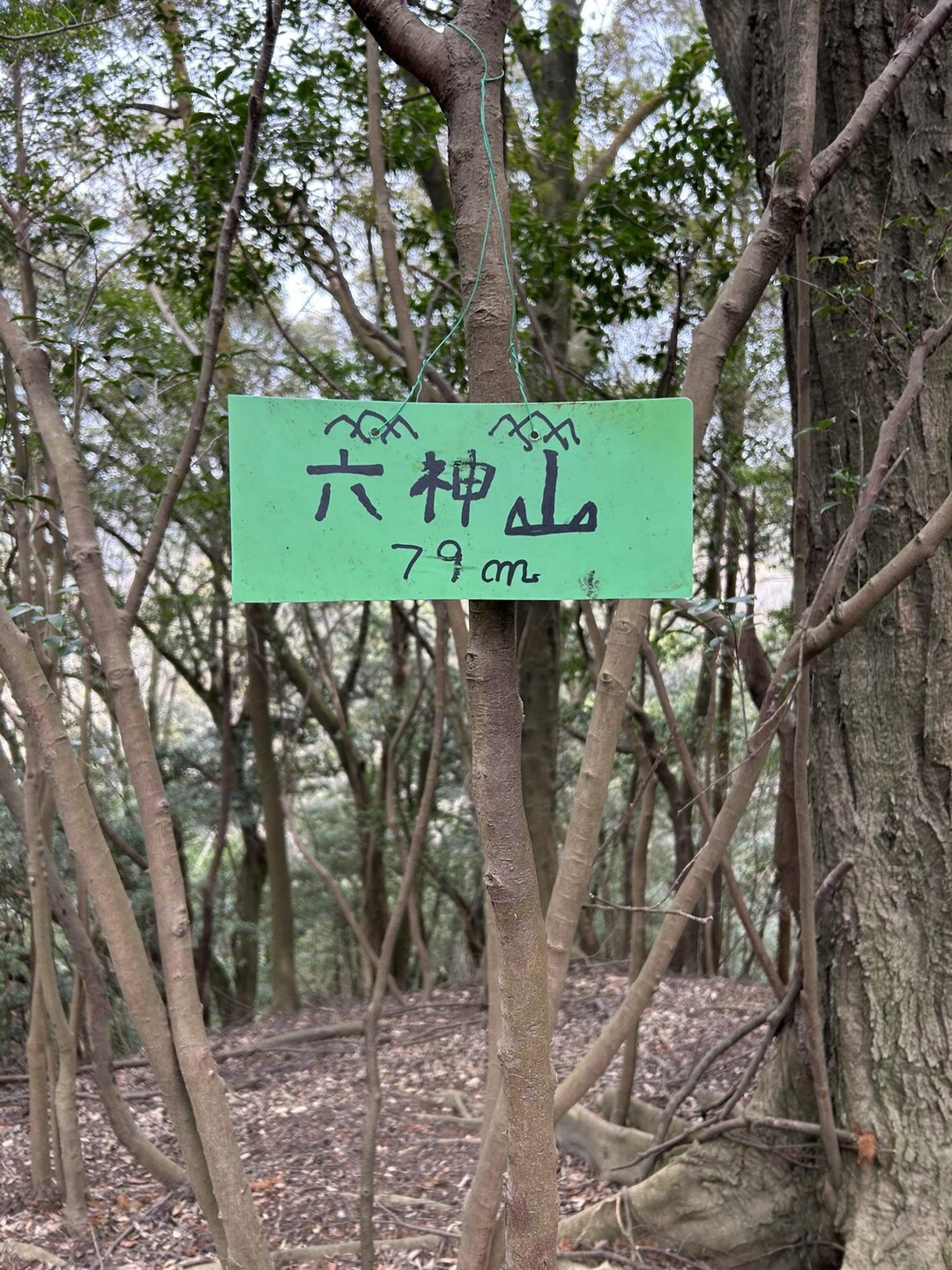 六神山・定森山、ノスタルジックサイクリング / t@ke-bowさんの六ヶ岳の活動データ | YAMAP / ヤマップ