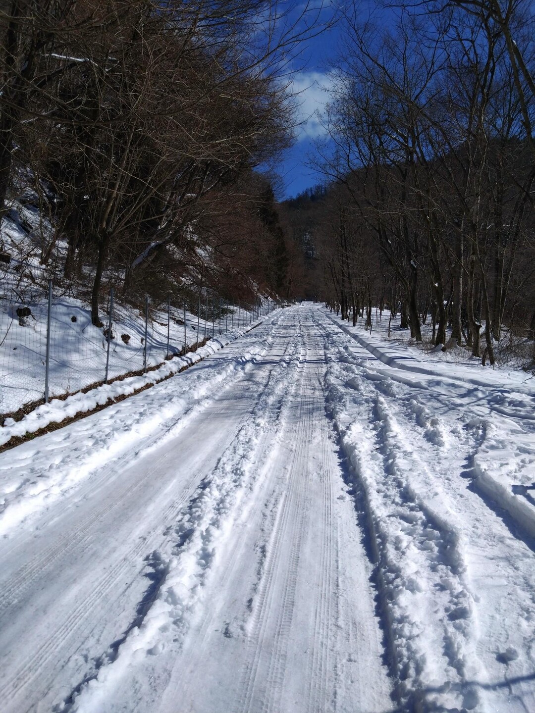 冬の山ハイク。 今更ですが、必要だなと気... / kmk-nさんのモーメント | YAMAP / ヤマップ