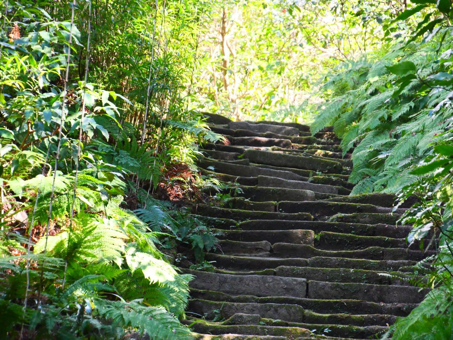 今日鎌倉へ行って来ましたII・善正山・甘沼山・円海山・大丸山・天園・天台山・胡桃山・桔梗山・峯山 / ウインさんの鎌倉アルプス（大平山・天台山）の活動データ | YAMAP / ヤマップ
