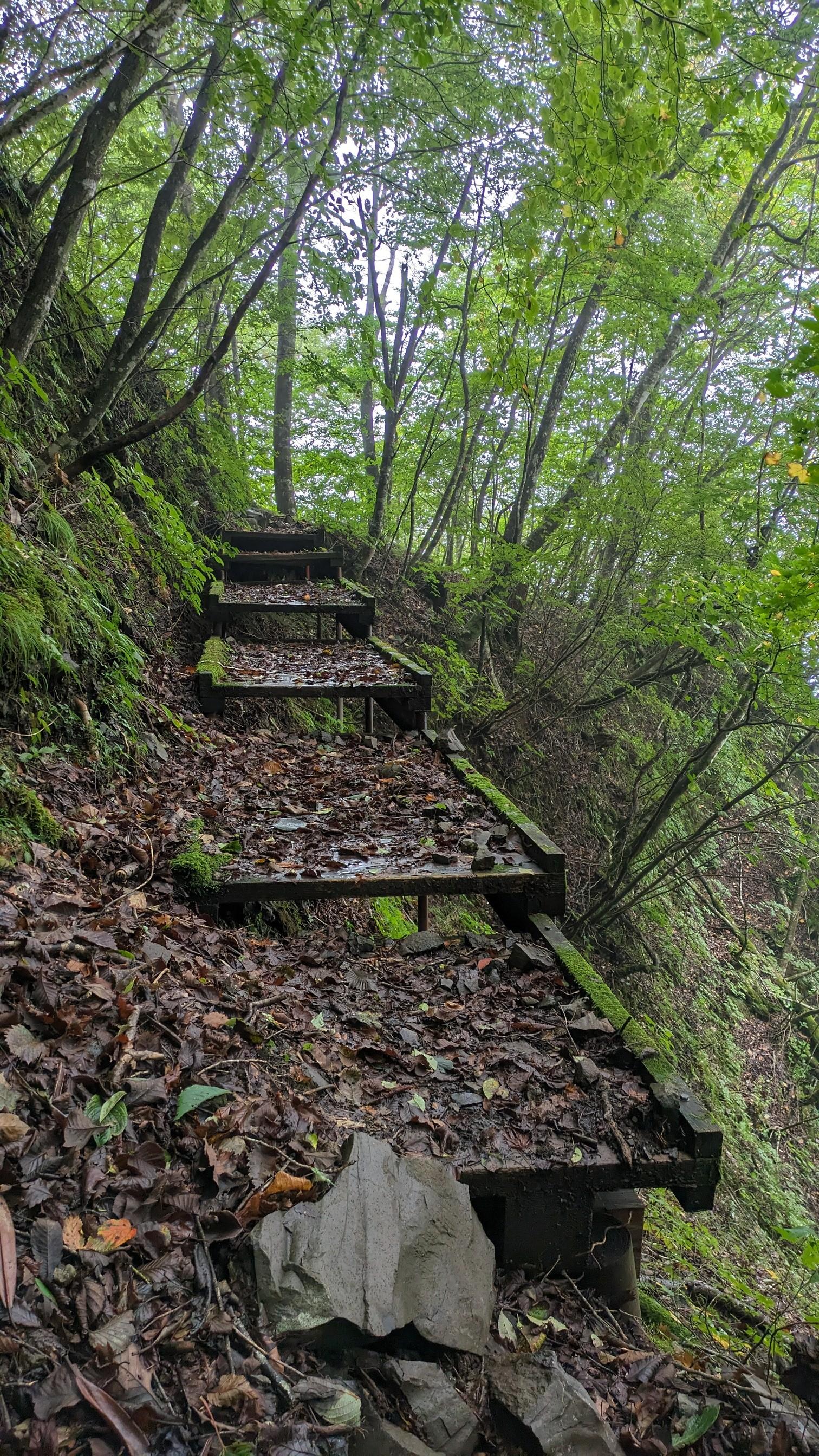 ko usさんの投稿したフィールドメモ | YAMAP / ヤマップ