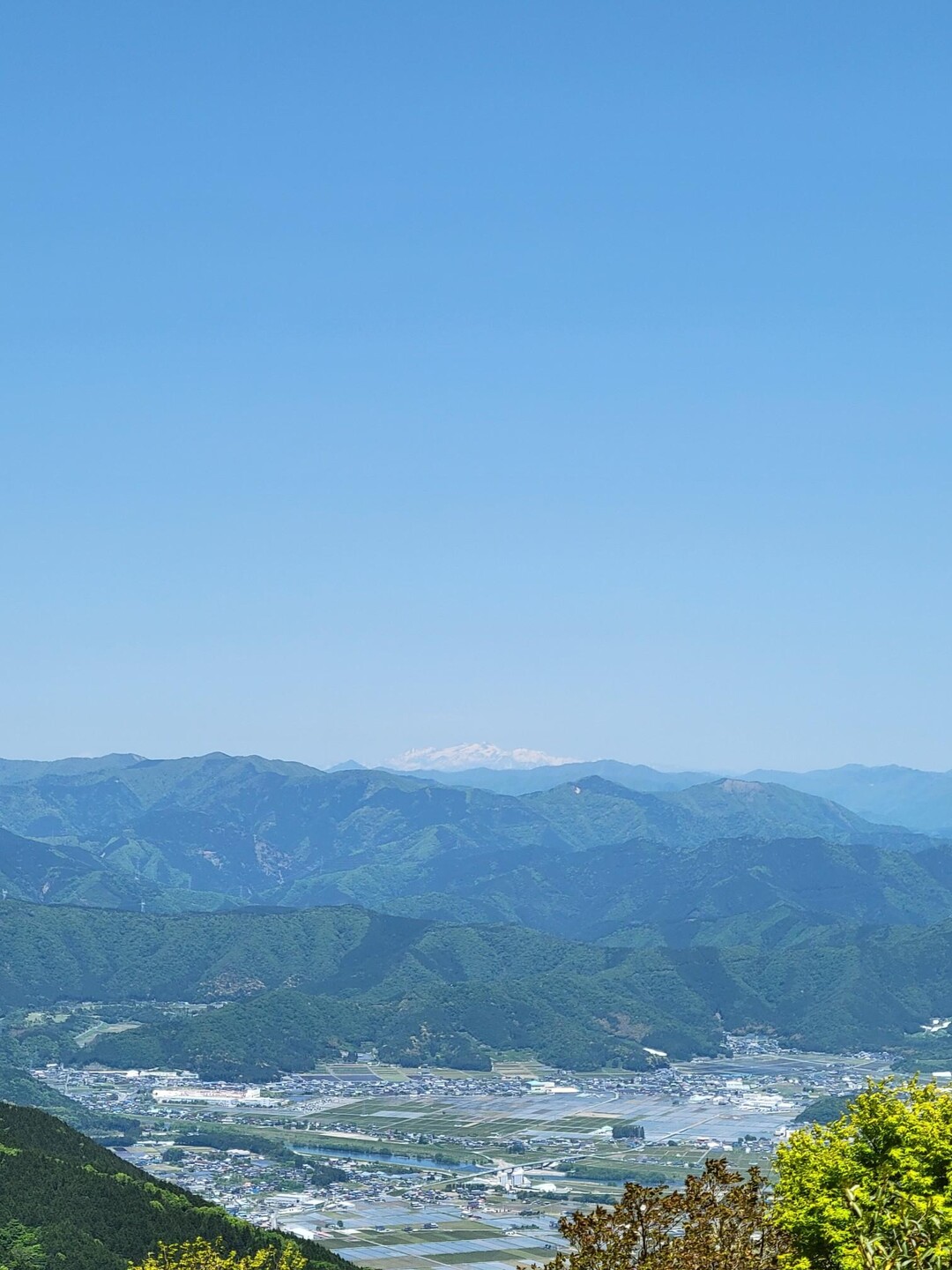 池田山 / yellさんの池田山の活動データ | YAMAP / ヤマップ