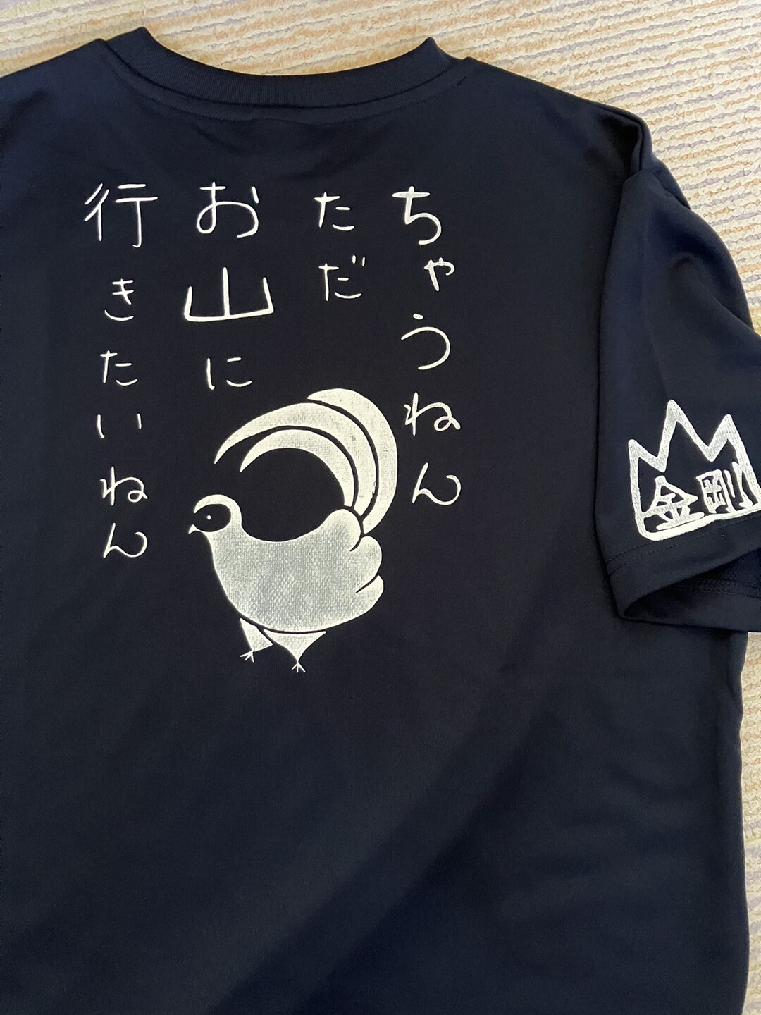 19回目 金剛山 / K-TAさんの金剛山・二上山・大和葛城山の活動データ | YAMAP / ヤマップ