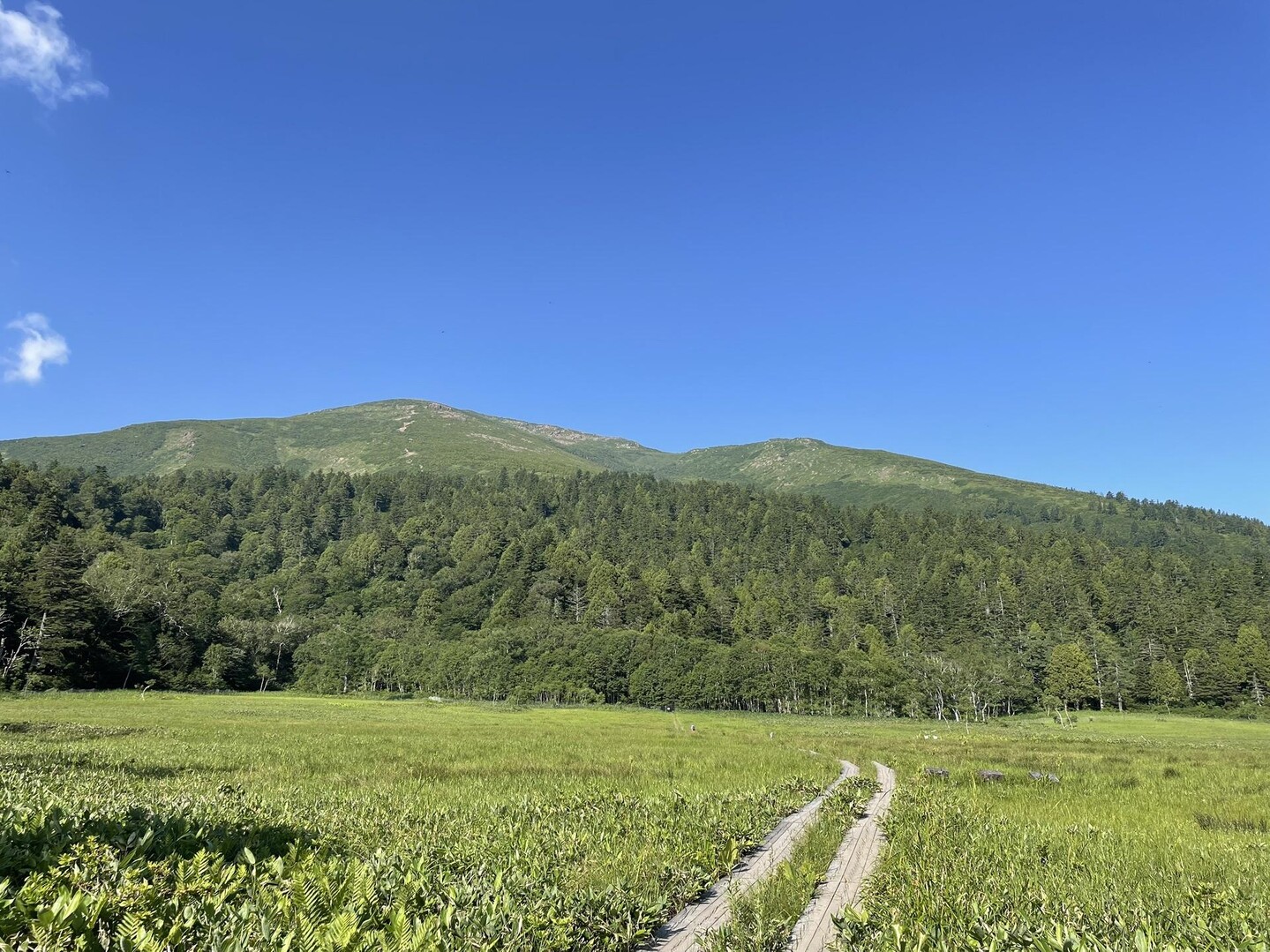 至仏山・小至仏山 / megさんの尾瀬・至仏山・悪沢岳・笠ヶ岳の活動データ | YAMAP / ヤマップ