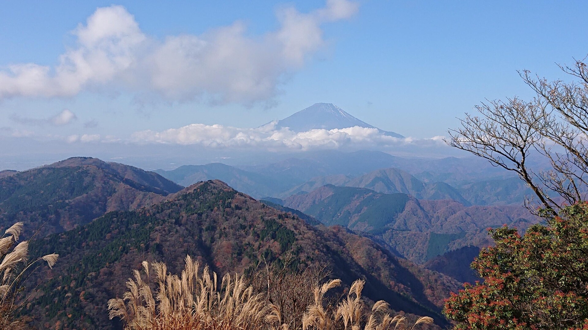 鍋割山・小丸 / mikeさんの塔ノ岳・丹沢山・蛭ヶ岳の活動データ | YAMAP / ヤマップ