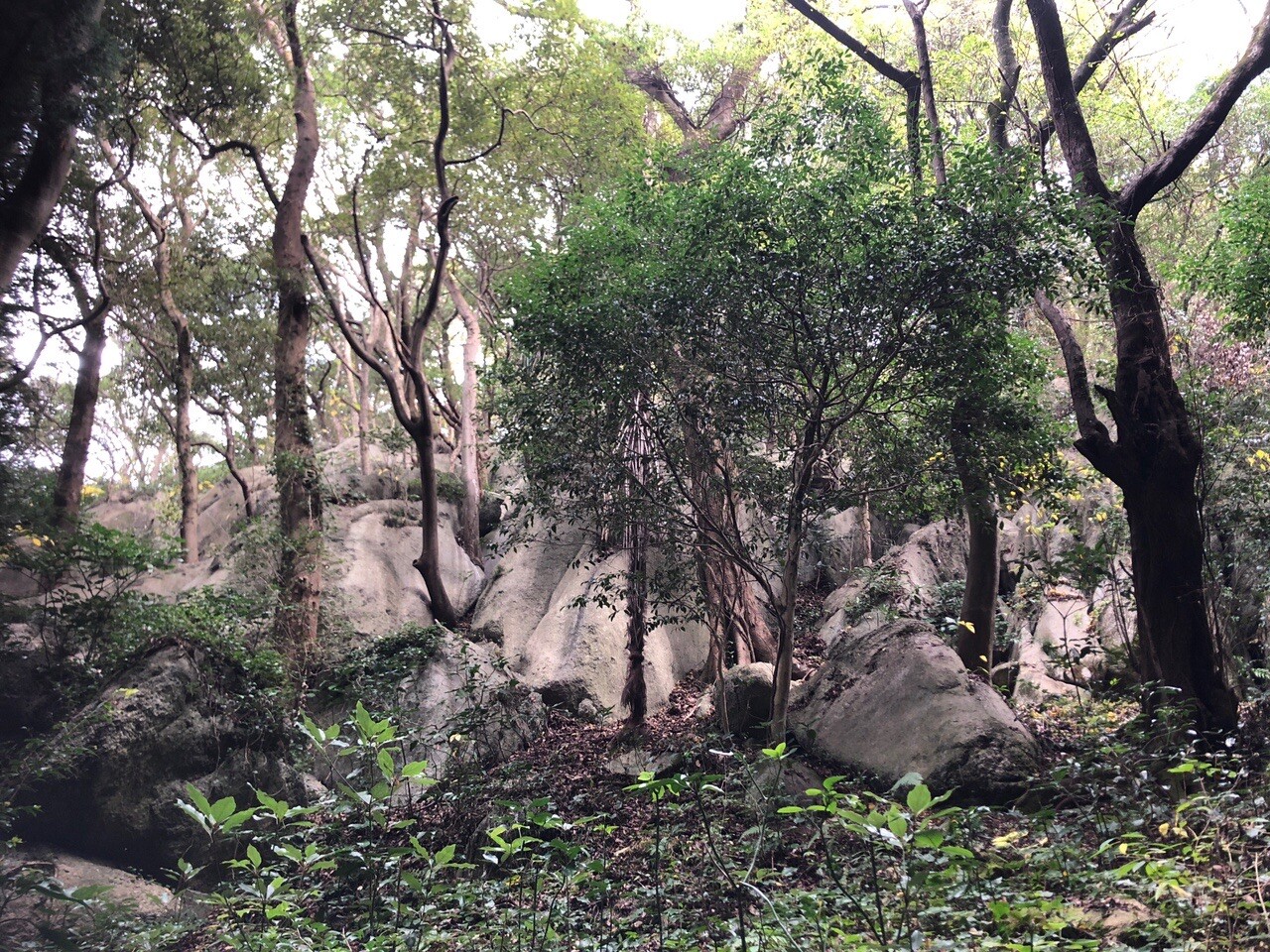 Guest_183453さんの投稿したフィールドメモ | YAMAP / ヤマップ