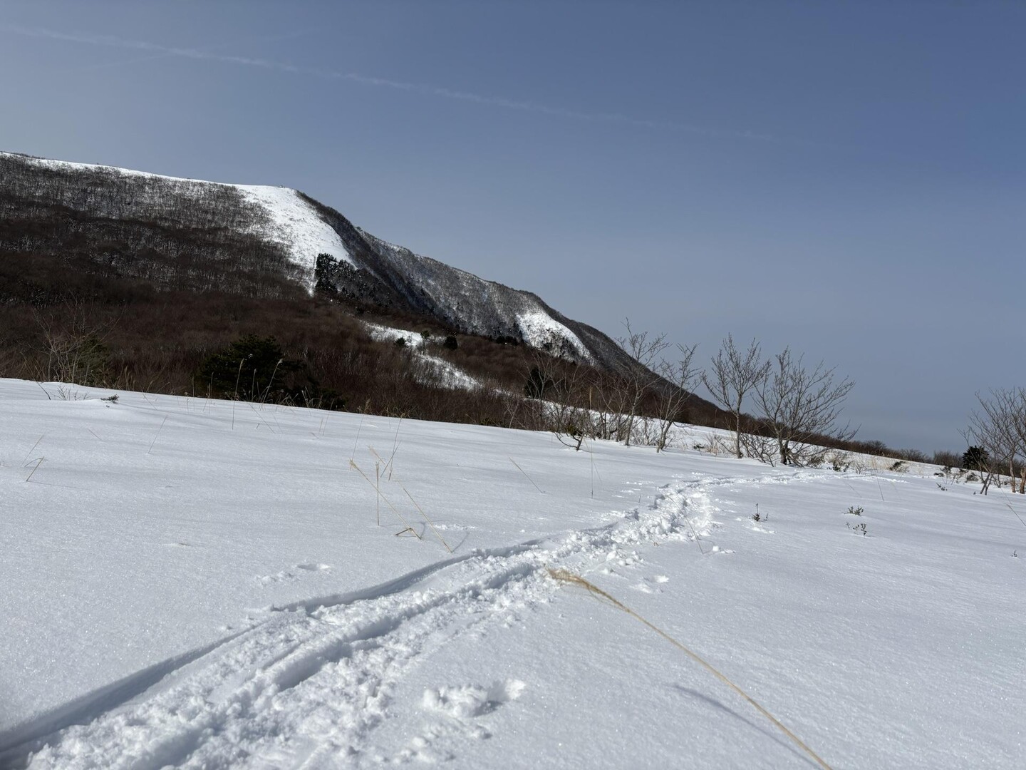 スノーハイク / uzuさんの比婆山・立烏帽子山・吾妻山の活動データ | YAMAP / ヤマップ