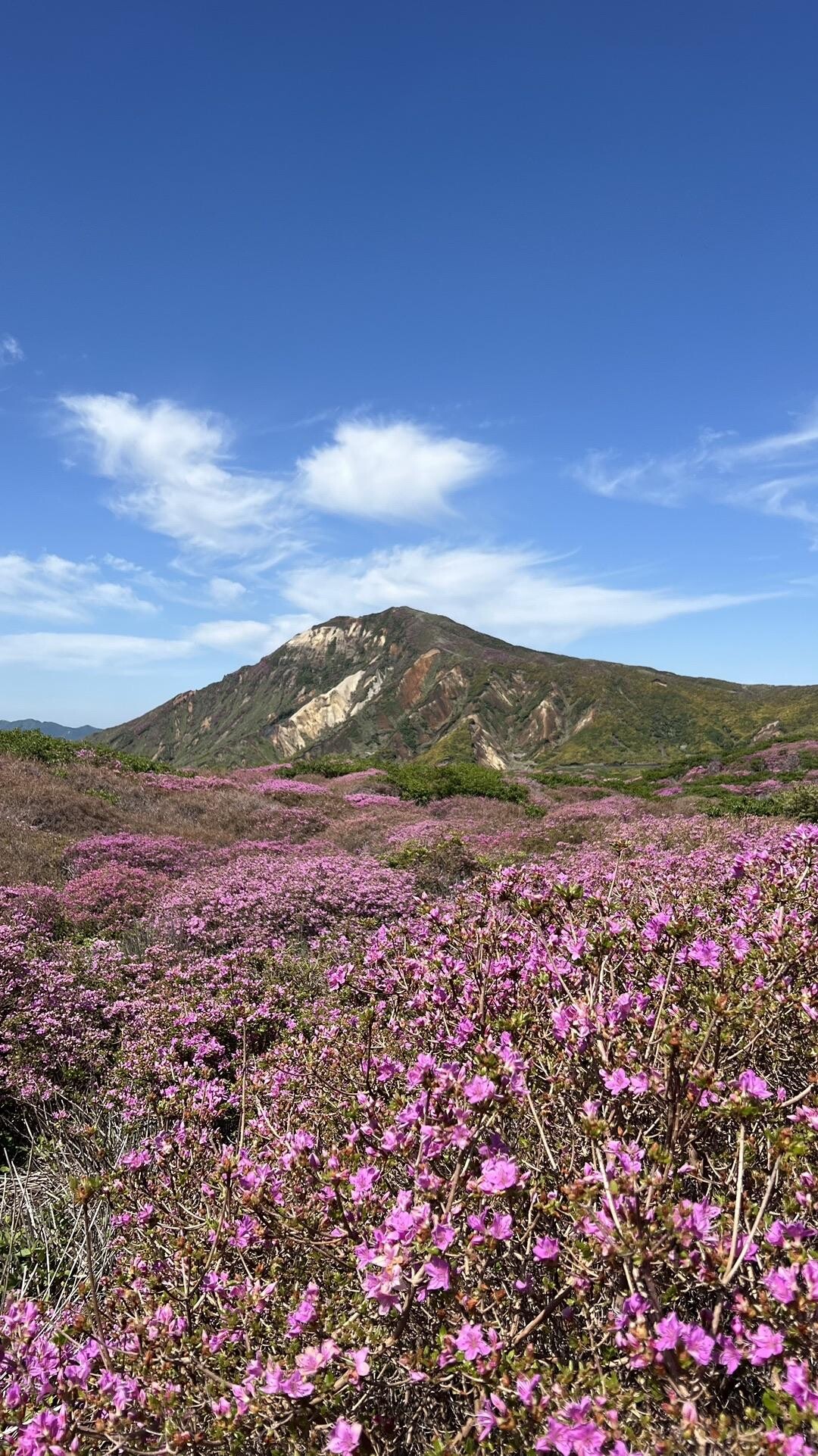 皿山・南岳・中岳・高岳 / akkeyさんの阿蘇山・高岳・根子岳の活動データ | YAMAP / ヤマップ