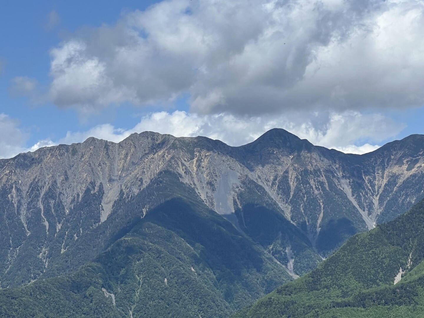 前尾高山・尾高山 / lilyさんのしらびそ高原の活動データ | YAMAP / ヤマップ