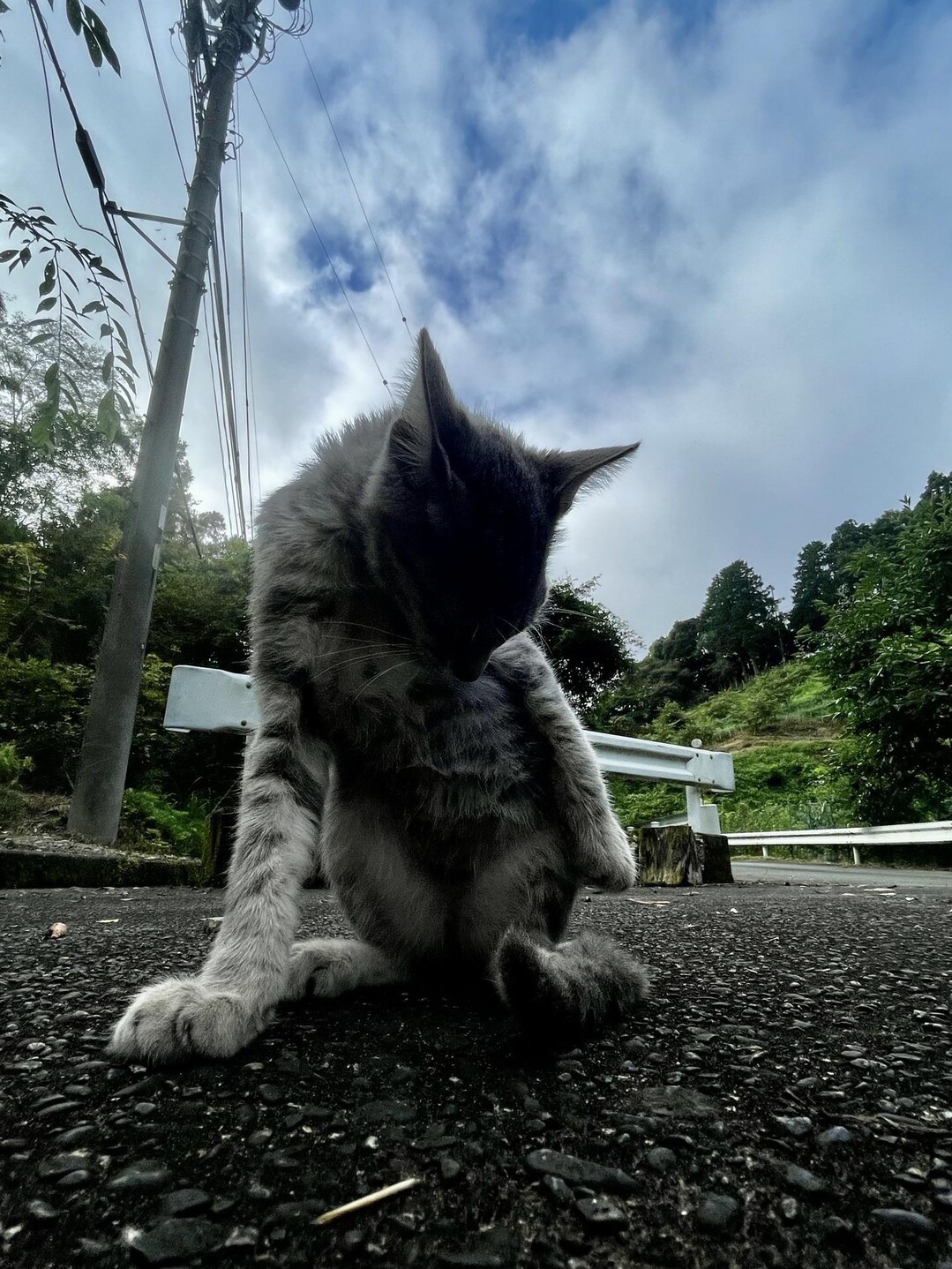 粟ヶ岳 西山ルート 夫婦滝ルート下山 / Naoki®さんの粟ヶ岳の活動日記 | YAMAP / ヤマップ