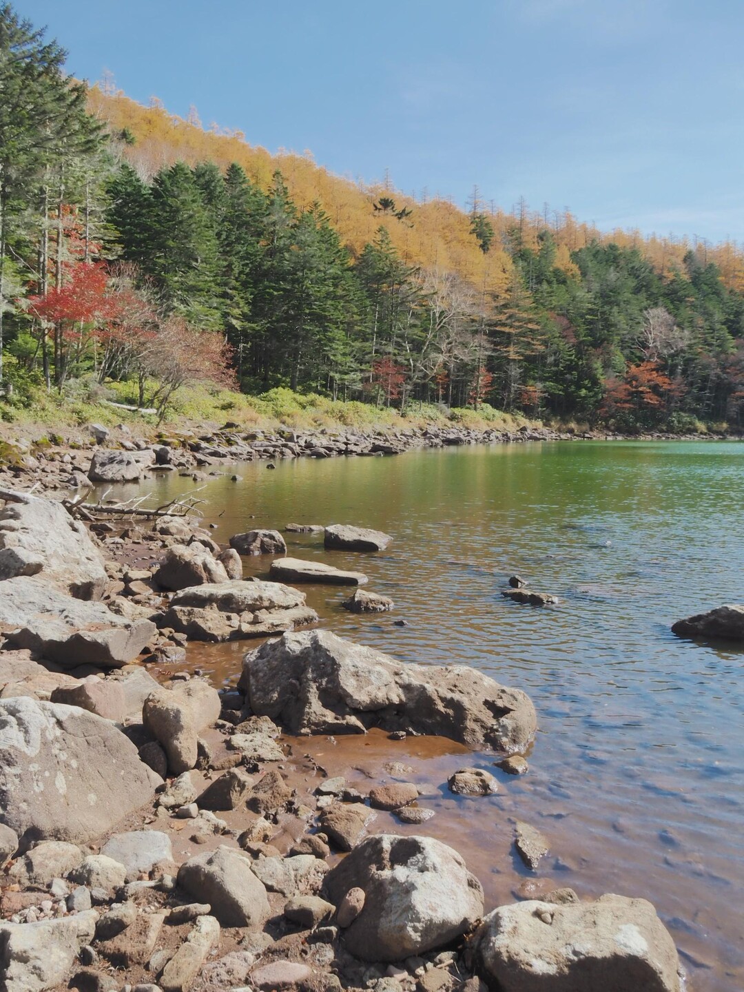 双子山-2024-10-27 / てつじいさんの蓼科山・横岳・縞枯山の活動日記 | YAMAP / ヤマップ
