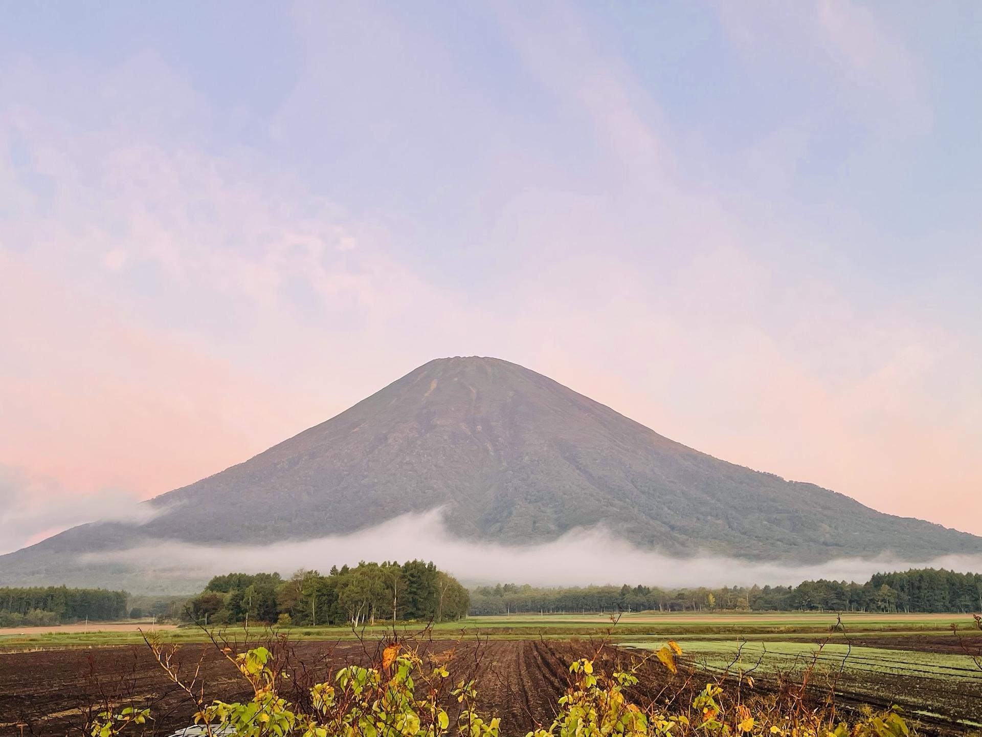 羊蹄山（後方羊蹄山・マッカリヌプリ）・真狩岳・羊蹄山（北山） / RYUさんの羊蹄山（蝦夷富士）の活動データ | YAMAP / ヤマップ
