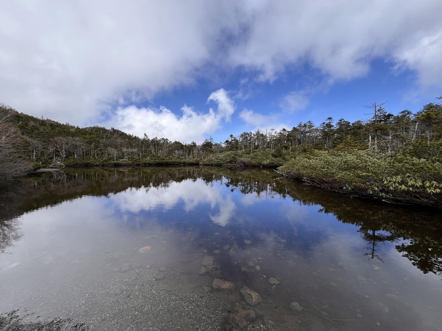 北横岳（南峰）・北横岳（北峰） / aurelieさんの蓼科山・横岳・縞枯山の活動データ | YAMAP / ヤマップ