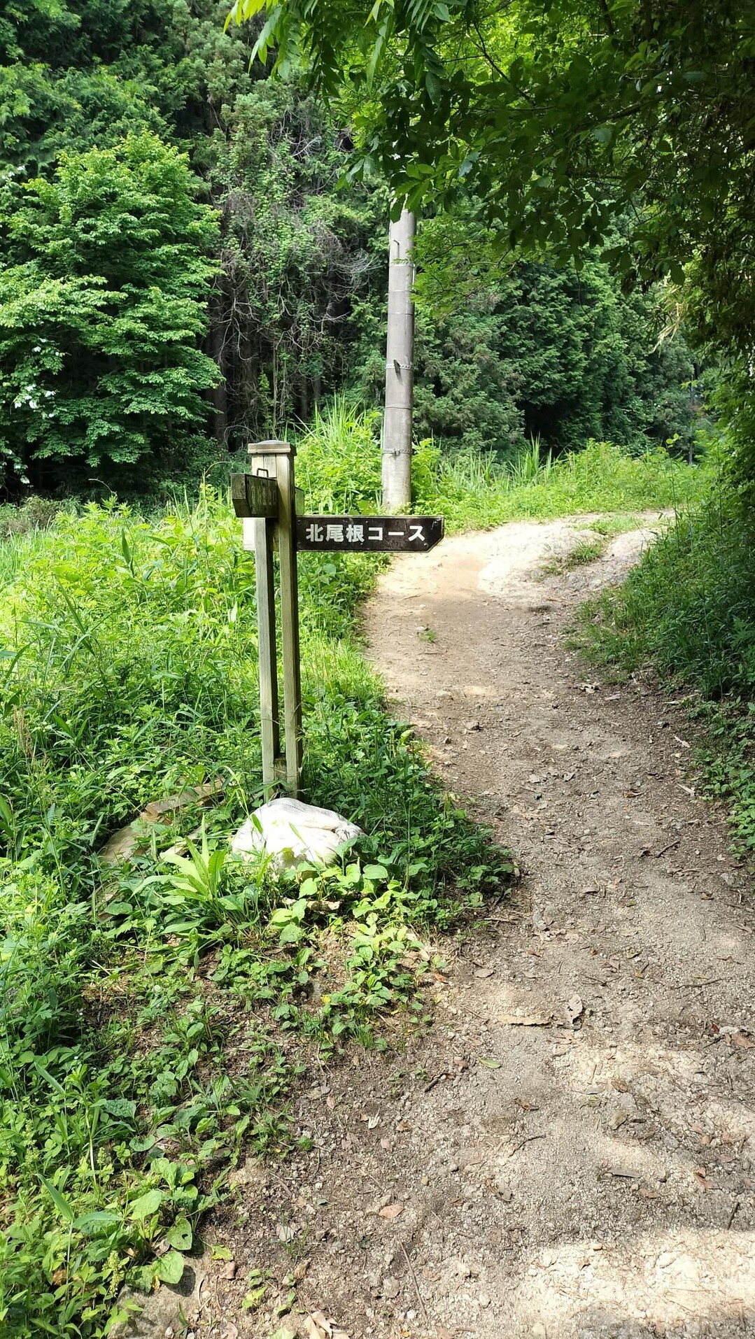 moppiさんの投稿したフィールドメモ | YAMAP / ヤマップ