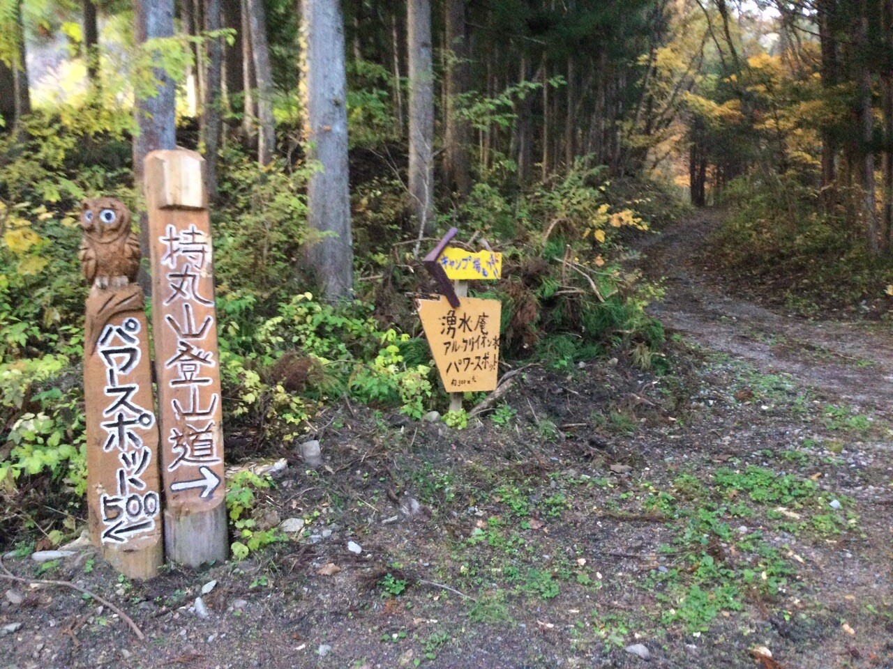 持丸山 / Nboxさんの荒海山・芝草山の活動日記 | YAMAP / ヤマップ