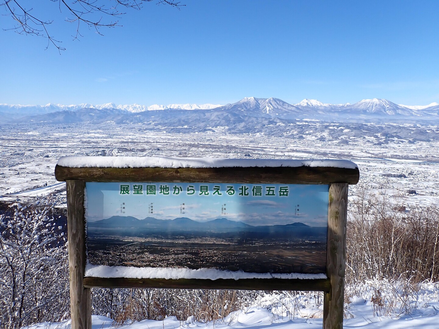 モフモフ雪の雁田山を周遊(*´ω`*) / 3110さんの長野市の活動データ | YAMAP / ヤマップ