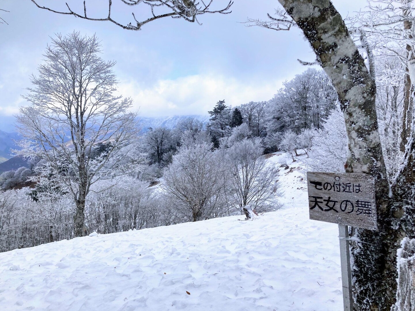 天女さんに会いに ️ / kenさんの八経ヶ岳の活動データ | YAMAP / ヤマップ