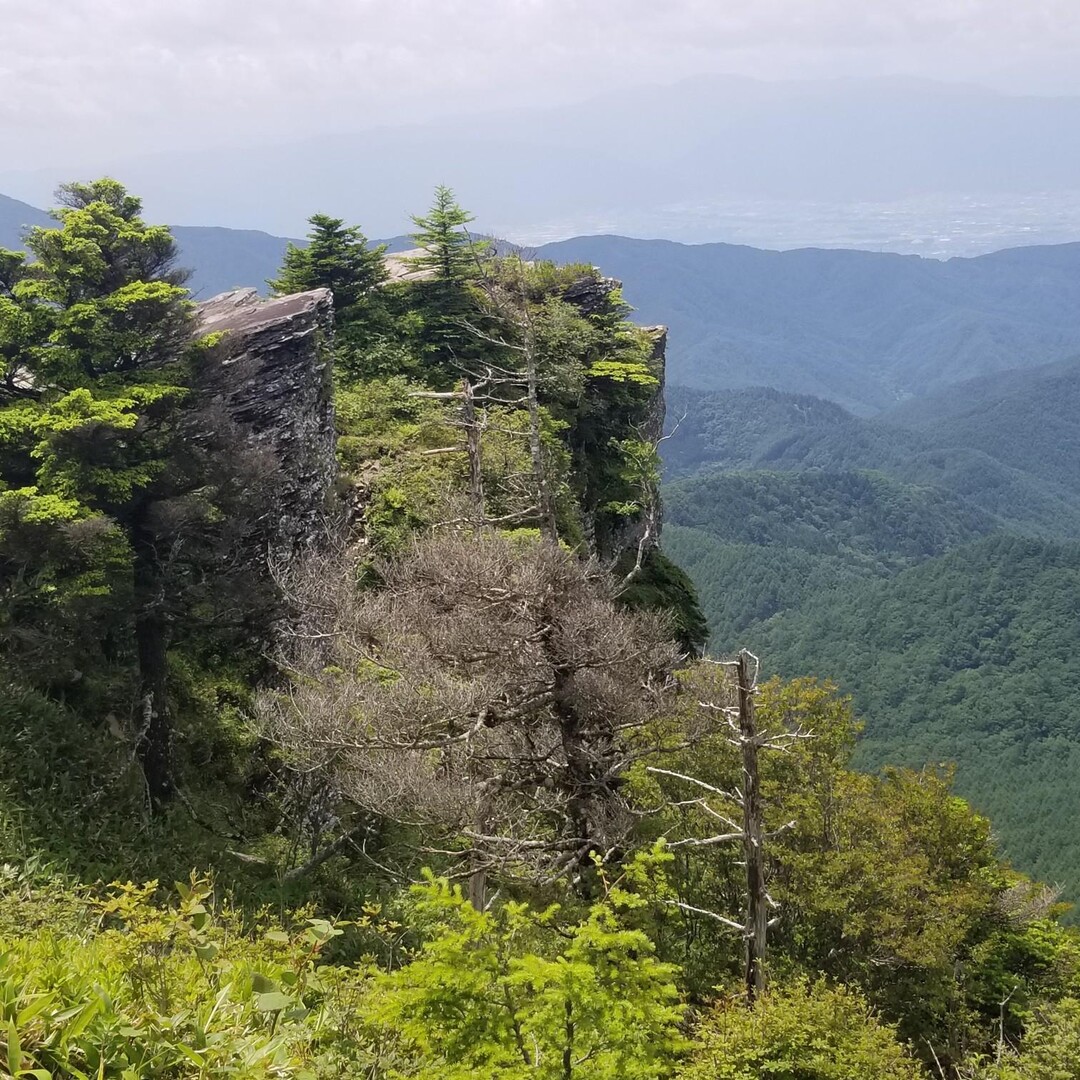 tataさんの投稿したフィールドメモ | YAMAP / ヤマップ