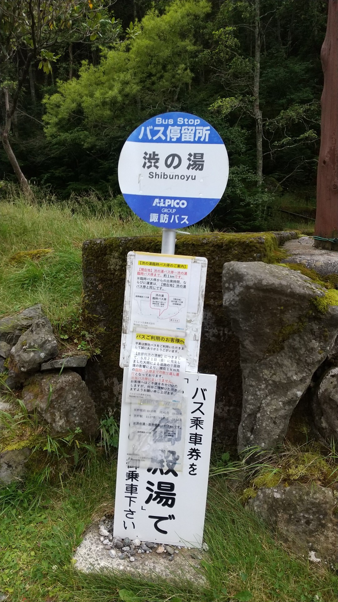 Hectorさんの投稿したフィールドメモ | YAMAP / ヤマップ