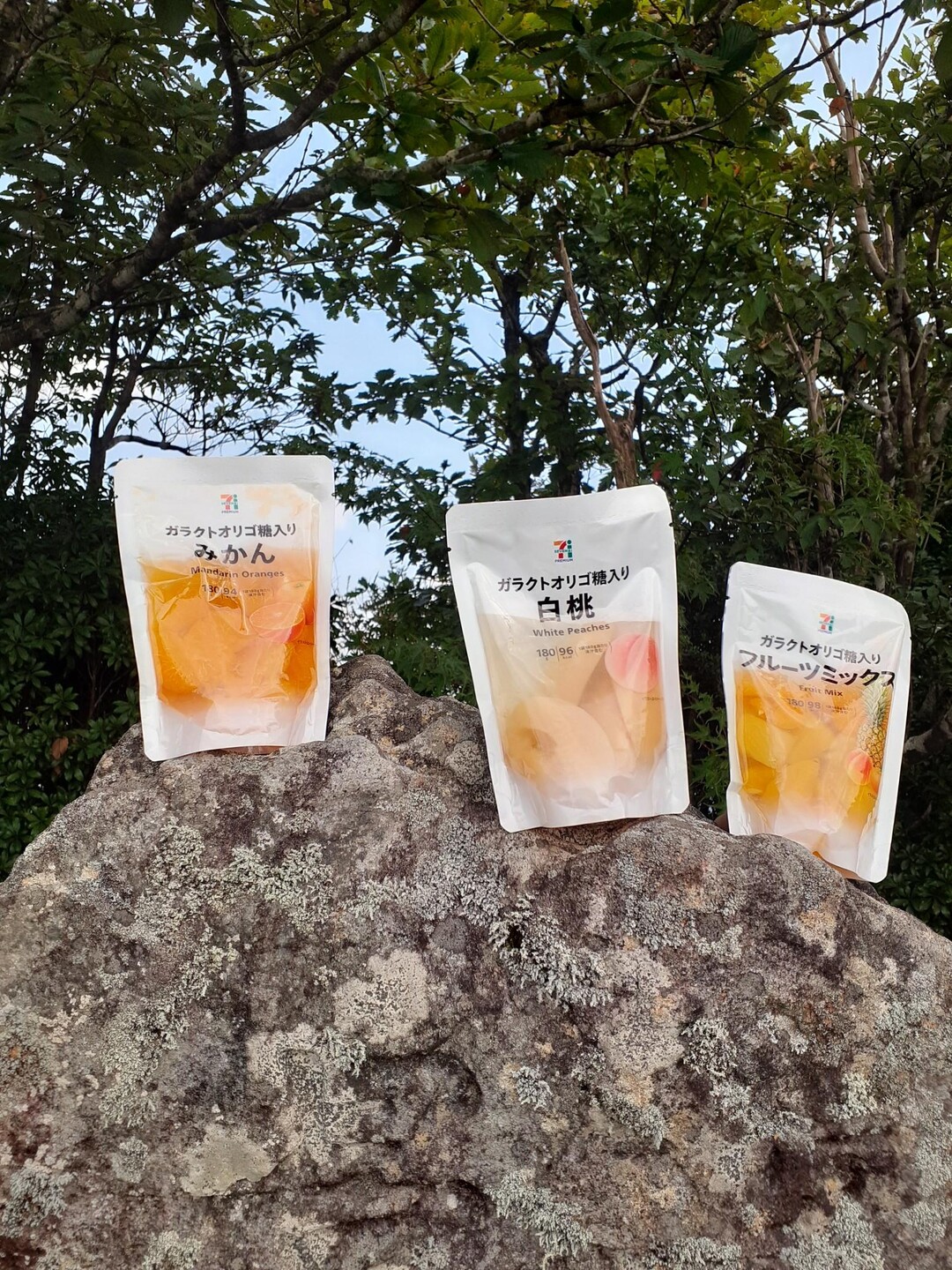 福岡県最高峰 釈迦岳 / CASIOPEAさんの釈迦岳・御前岳の活動データ | YAMAP / ヤマップ