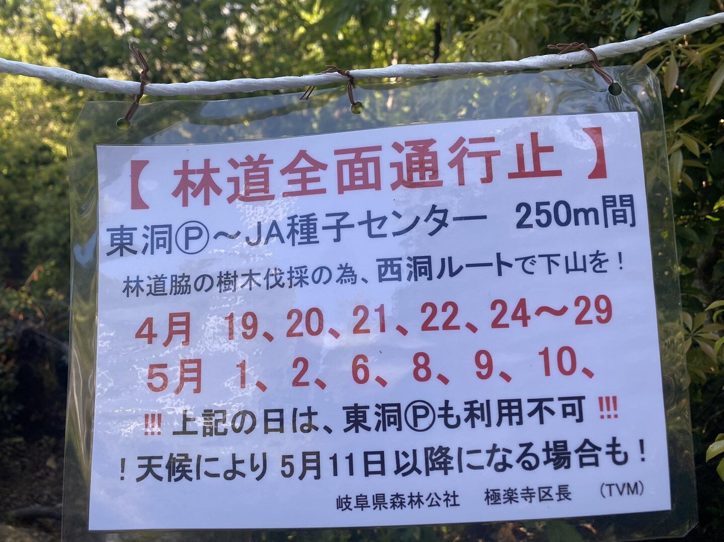 誕生山に登ってきました。 GWに登る予定... / フナシーさんのモーメント | YAMAP / ヤマップ