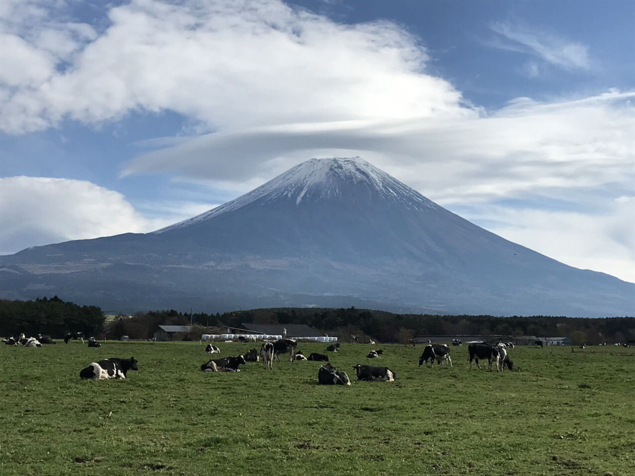 minakoのページ | YAMAP / ヤマップ