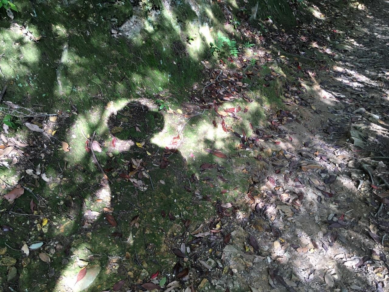 こもれびsmileのページ | YAMAP / ヤマップ