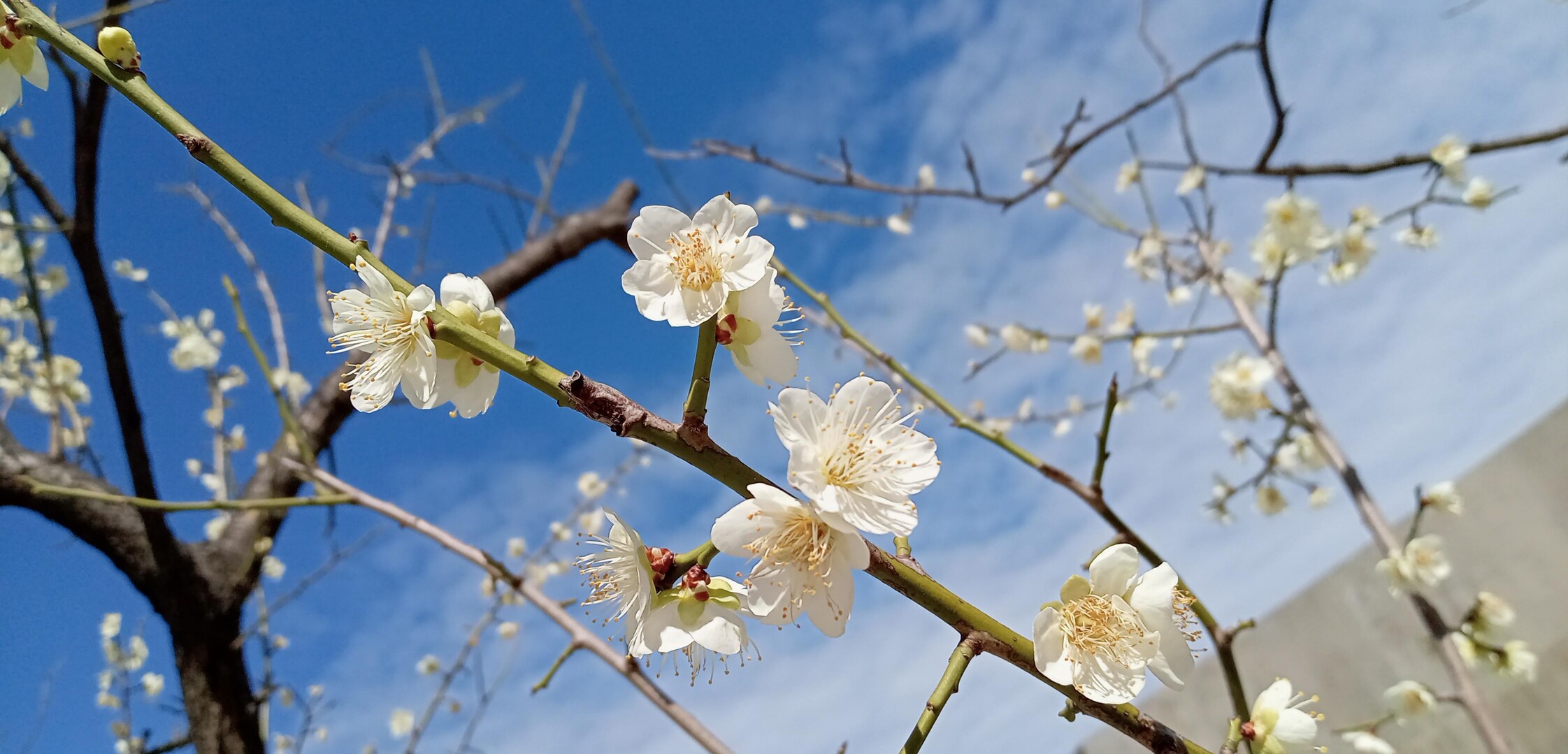 足の不調から10日以上経ちますが、なかな... / hacoさんのモーメント | YAMAP / ヤマップ