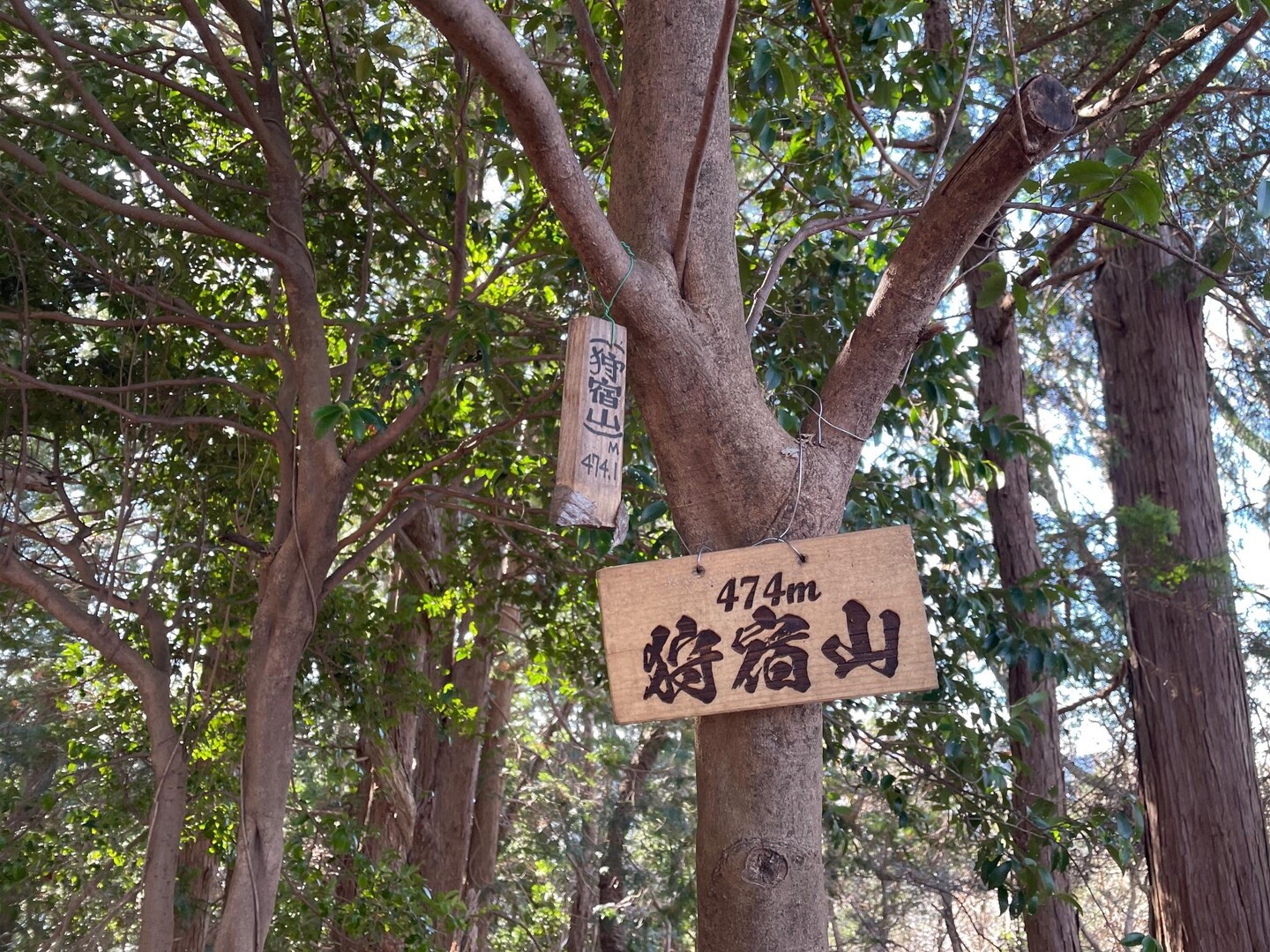 多利野山・狩宿山 / TKC90さんの富幕山・尉ヶ峰・竜ヶ石山の活動データ | YAMAP / ヤマップ