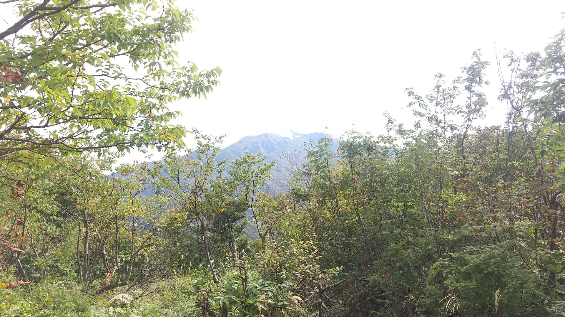 袴腰山 / junk-landさんの粟ヶ岳・權ノ神岳・宝蔵山の活動データ | YAMAP / ヤマップ