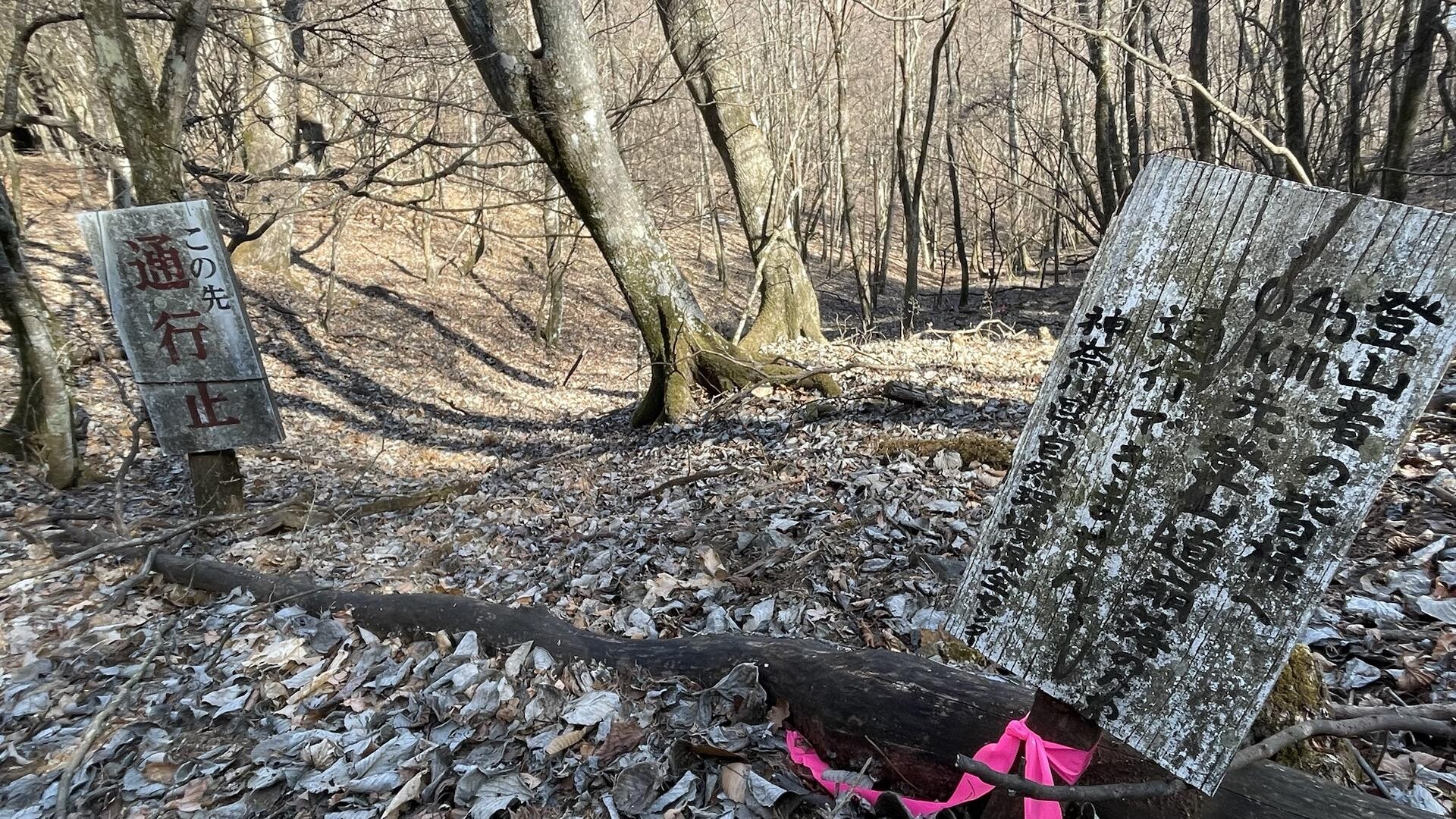 三ヶ木～茨菰山～風巻尾根〜西丹沢VC / Hiroakiさんの石老山・ 石砂山の活動データ | YAMAP / ヤマップ