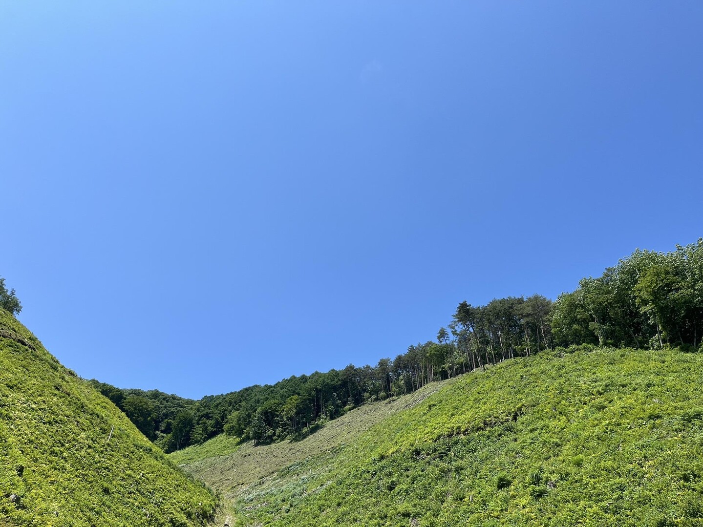 金壺山 / sue sannさんの南昌山・東根山・箱ヶ森の活動データ | YAMAP / ヤマップ