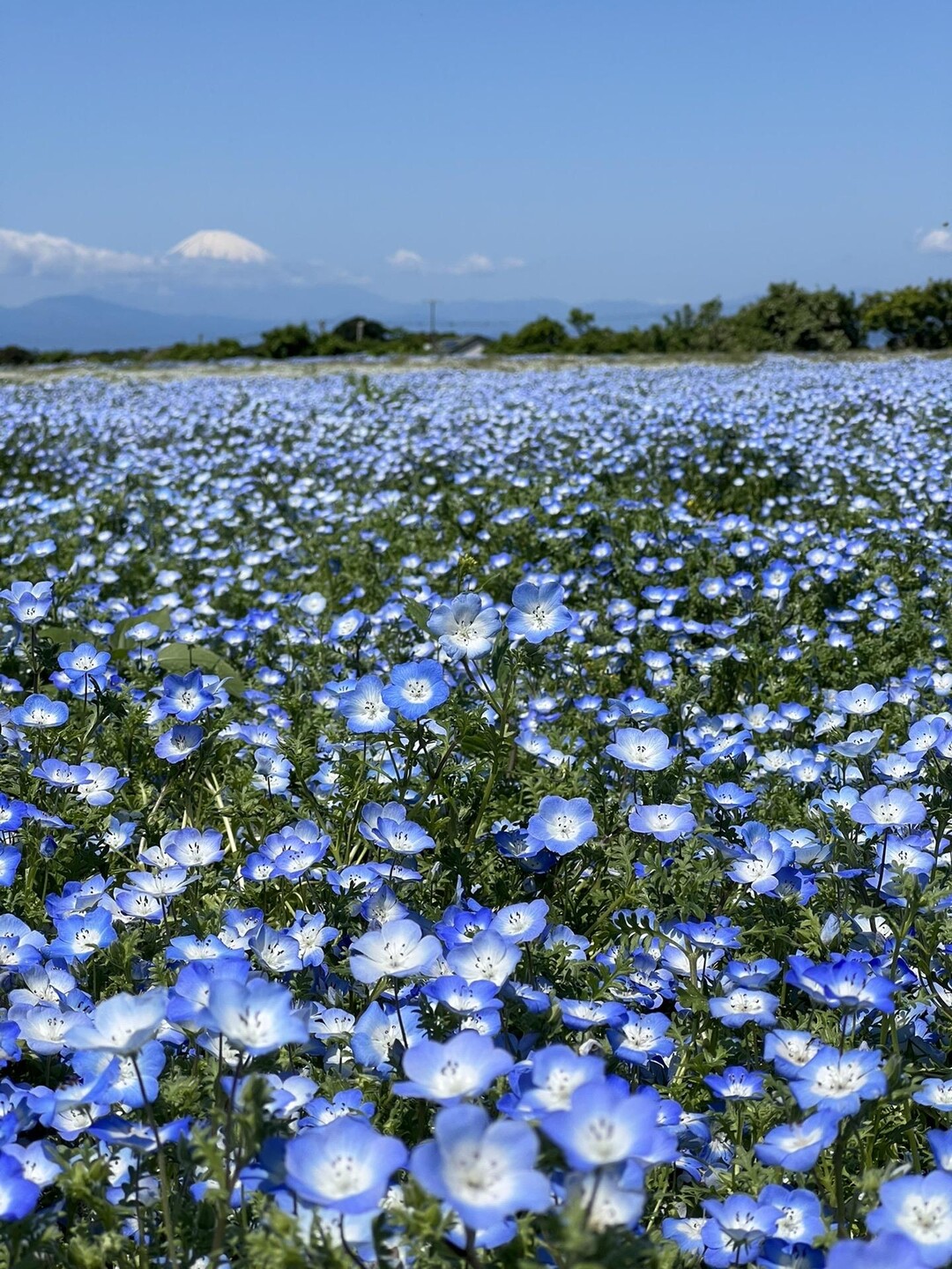 そろそろお山の準備でチャリトレ🚴 三浦... / KUMIさんのモーメント | YAMAP / ヤマップ