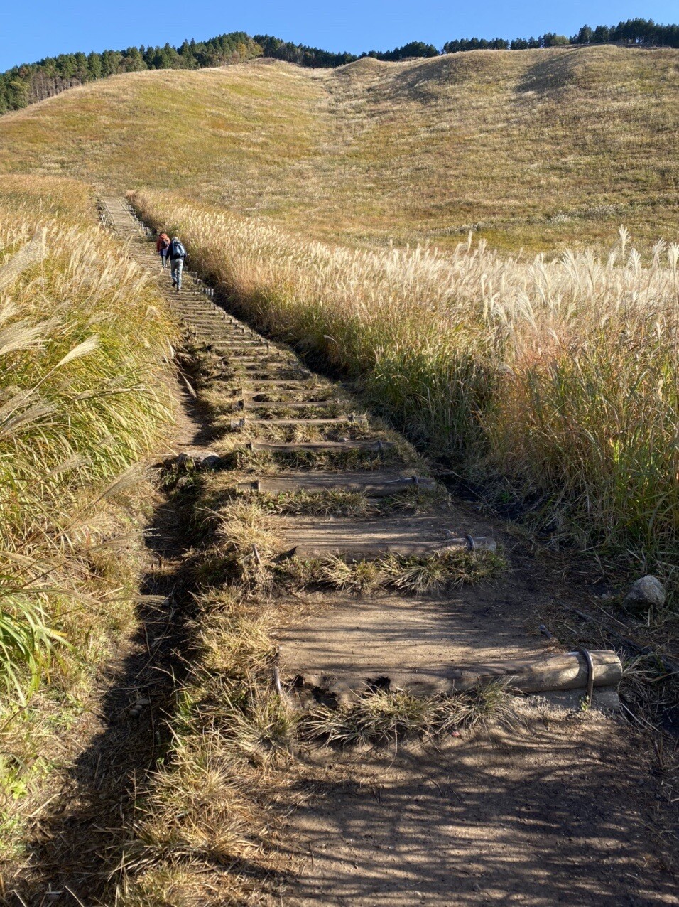 2020.10.31(土) 09:49 / まっちゃさんのモーメント | YAMAP / ヤマップ