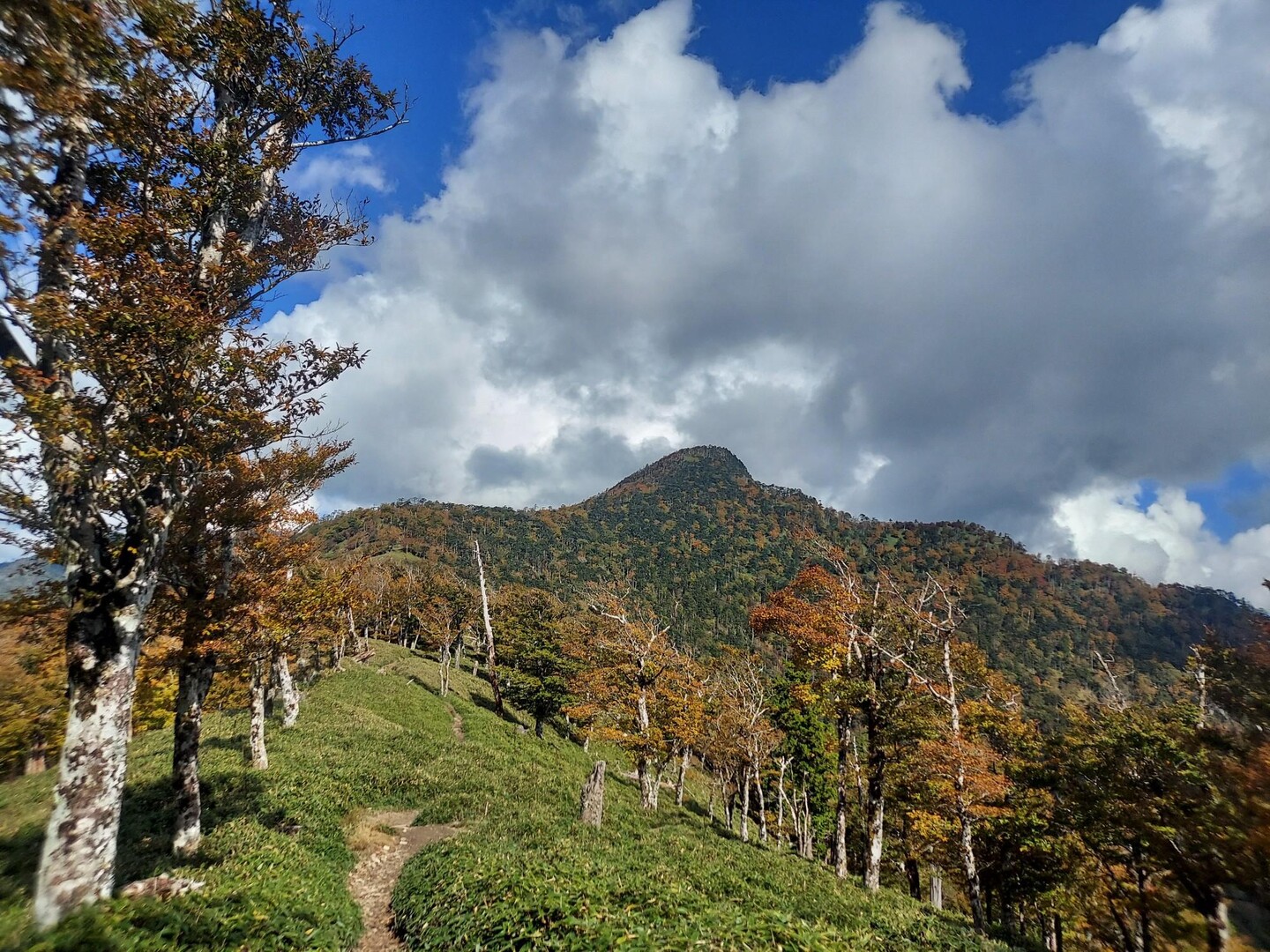 カラフル釈迦ヶ岳 / ree-koさんの釈迦ヶ岳・大日岳・涅槃岳の活動データ | YAMAP / ヤマップ