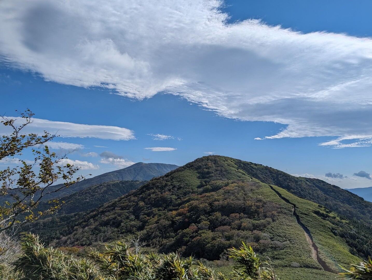金時山 金時登山口から乙女峠BS / かっしーさんの金時山・明神ヶ岳の活動データ | YAMAP / ヤマップ