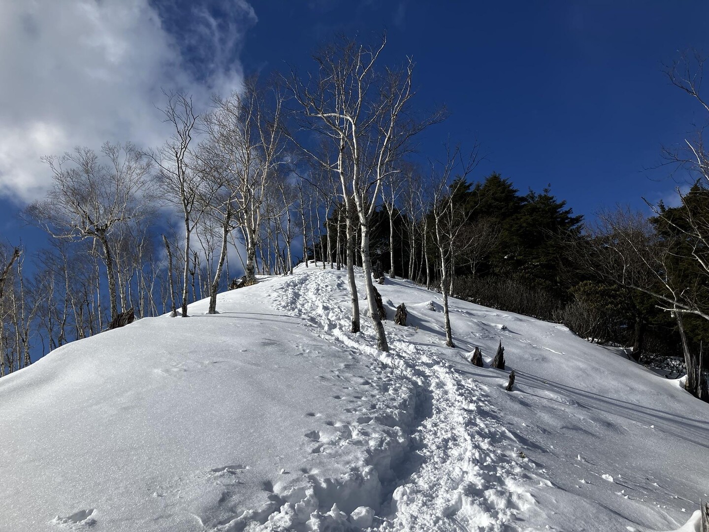 社山 / 727Kさんの社山・半月山の活動データ | YAMAP / ヤマップ