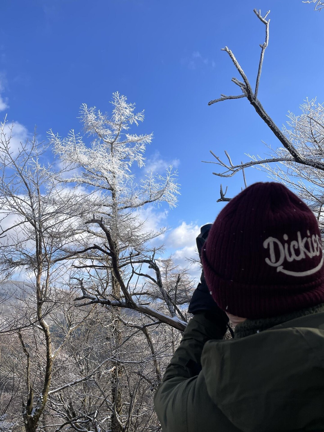 霧氷でした ️ / Kei707さんの涌蓋山・猟師山の活動データ | YAMAP / ヤマップ