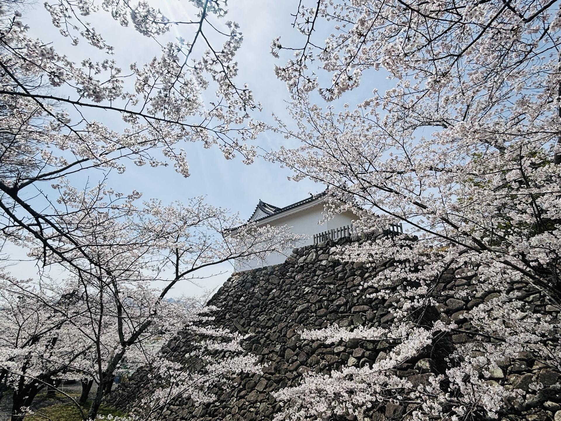 「DESTINY♪」旧東海道を歩く(亀山宿〜関宿) / Yasさんのウォーキングの活動データ | YAMAP / ヤマップ