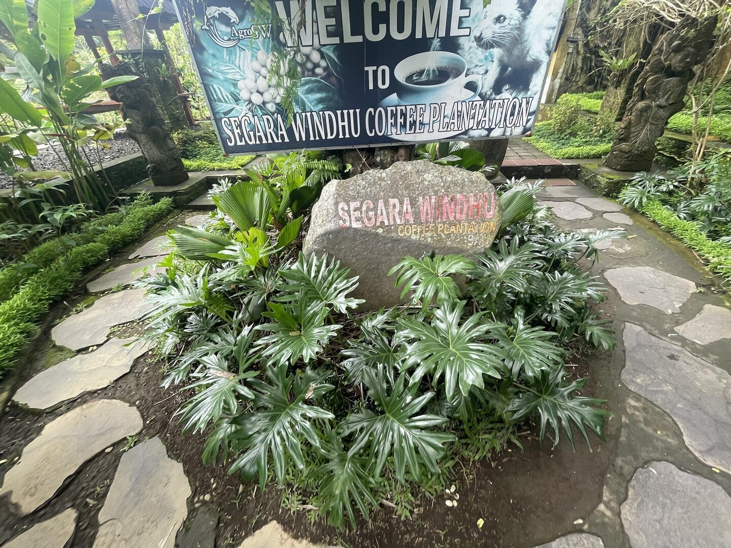 ガイドチャーター④ コーヒー農園、コピ... / hideshanさんのモーメント | YAMAP / ヤマップ