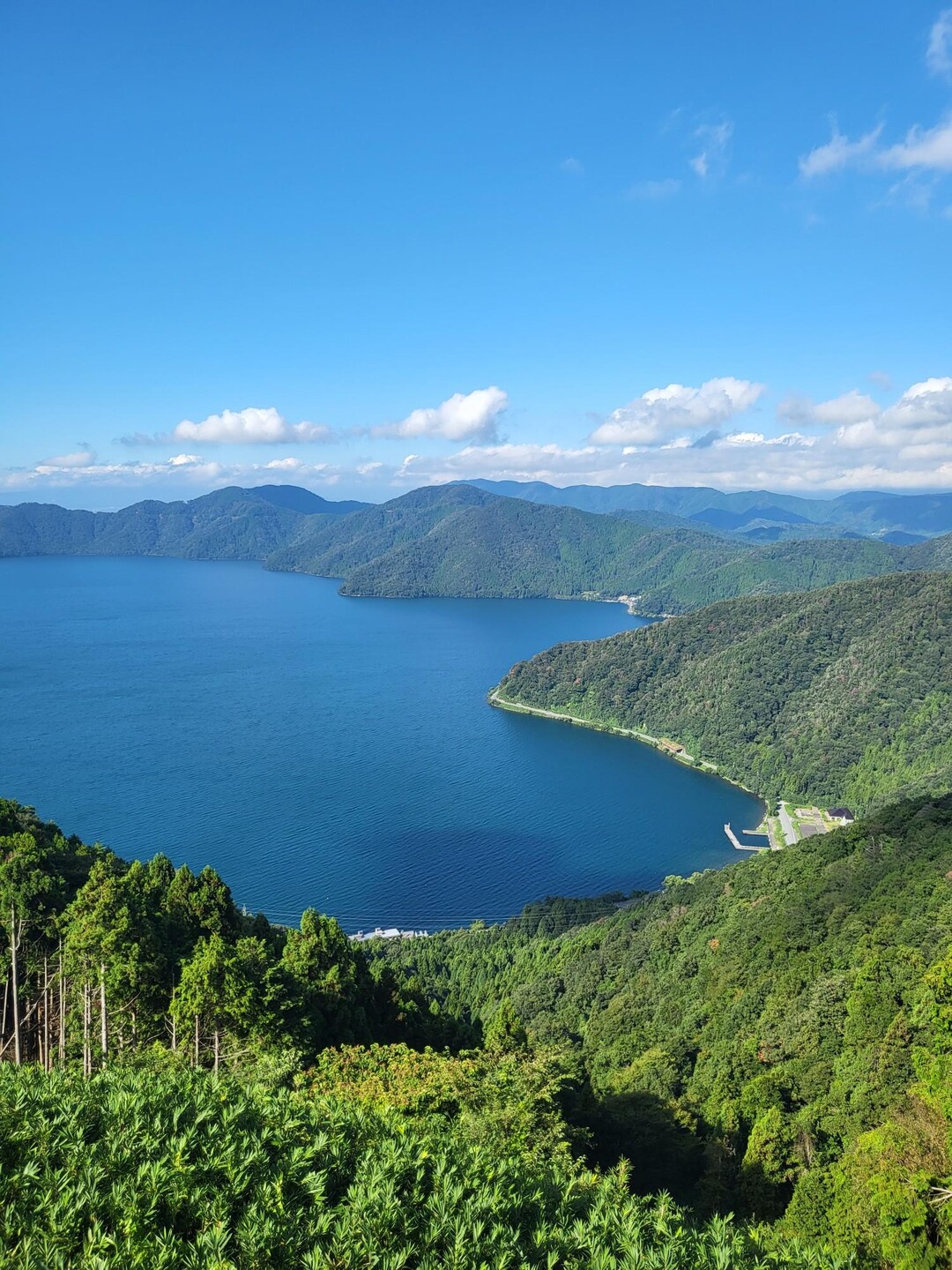 余呉湖周回 賤ヶ岳、岩崎山・大岩山・公法寺山・大平良山・神明山 / montanaさんの賤ヶ岳・山本山の活動データ | YAMAP / ヤマップ