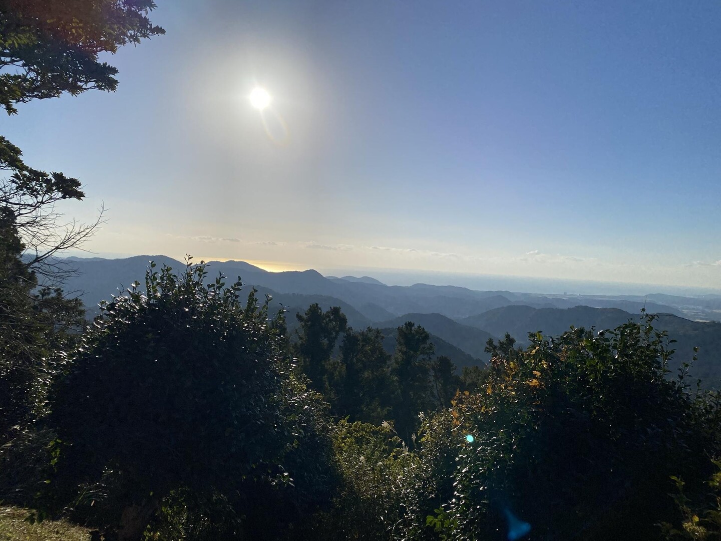 房総半島の山② 御殿山・大日山 / Sam55さんの御殿山・大日山の活動データ | YAMAP / ヤマップ