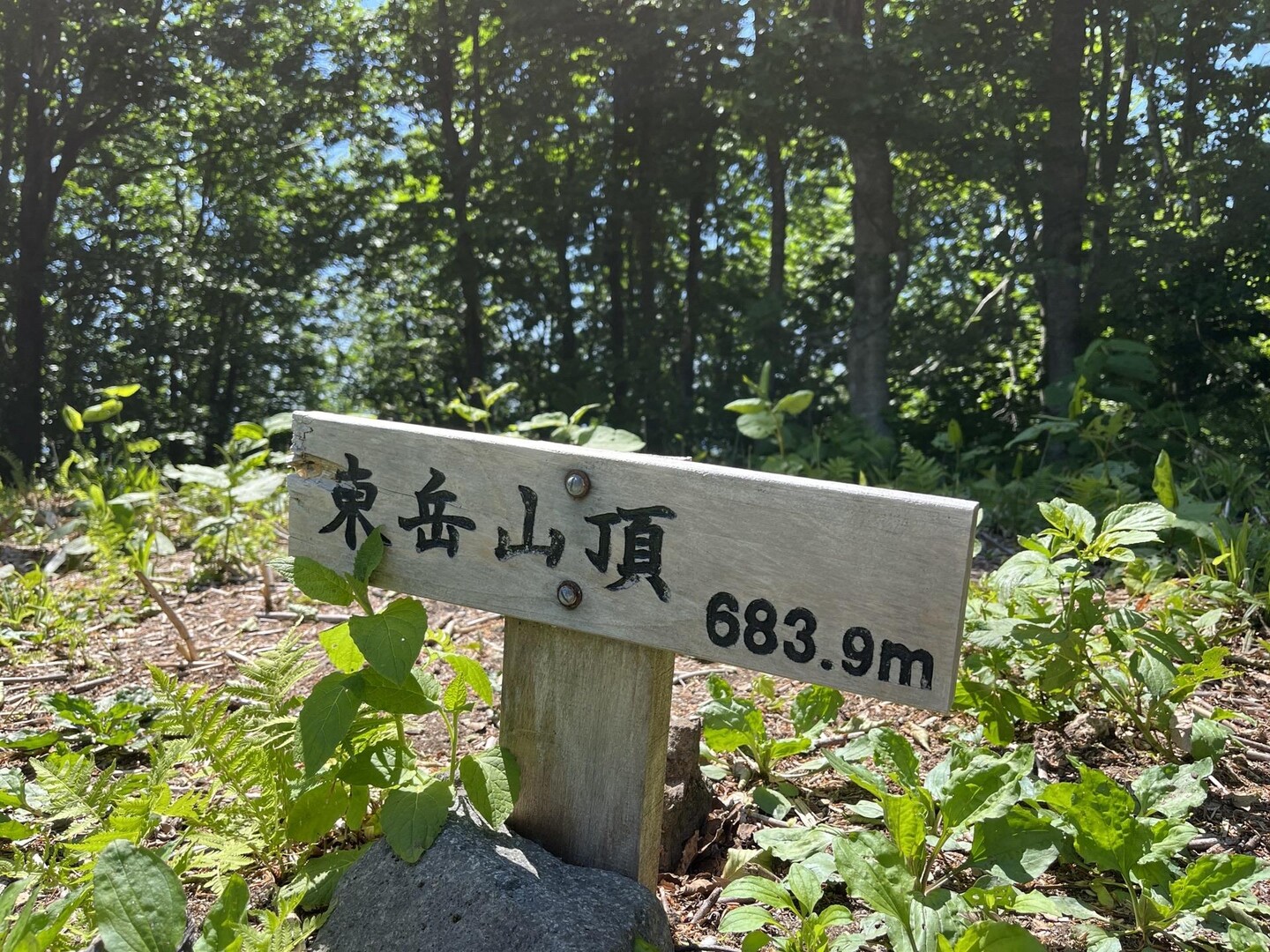 東岳初登頂 ️からのAOMORIマチュピチュへ / yokoyokoworksさんの東岳の活動データ | YAMAP / ヤマップ