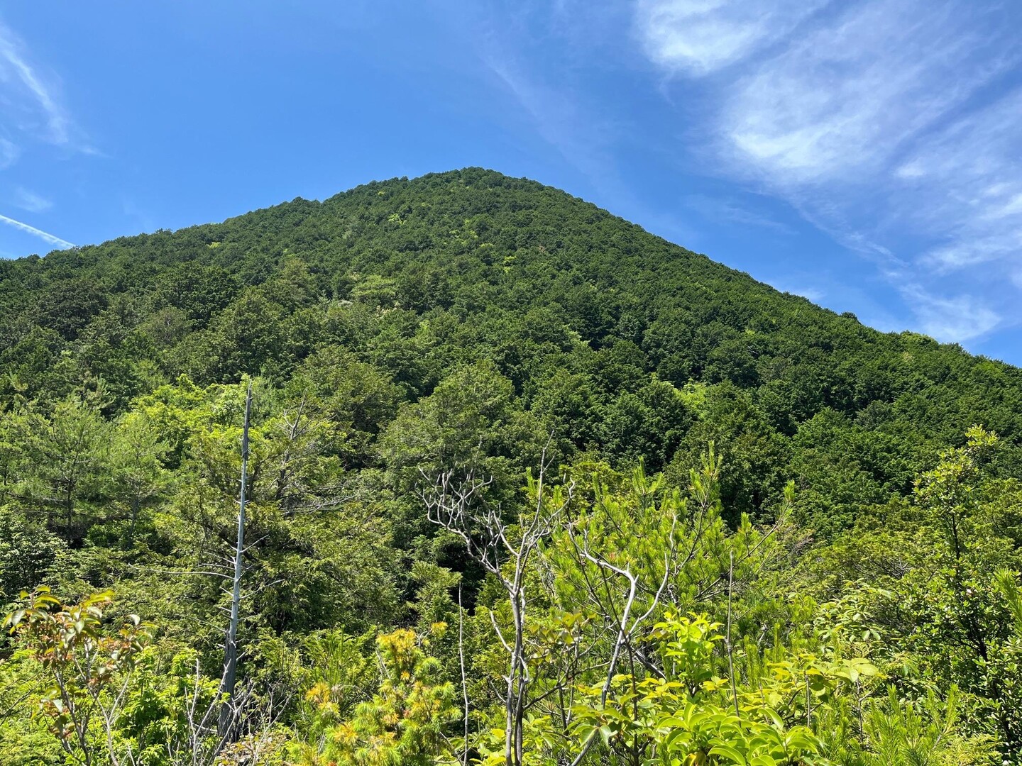 女山・三上山（近江富士）・東光寺日陽山・東光寺岩梨山 / naokiさんの三上山・鏡山の活動データ | YAMAP / ヤマップ