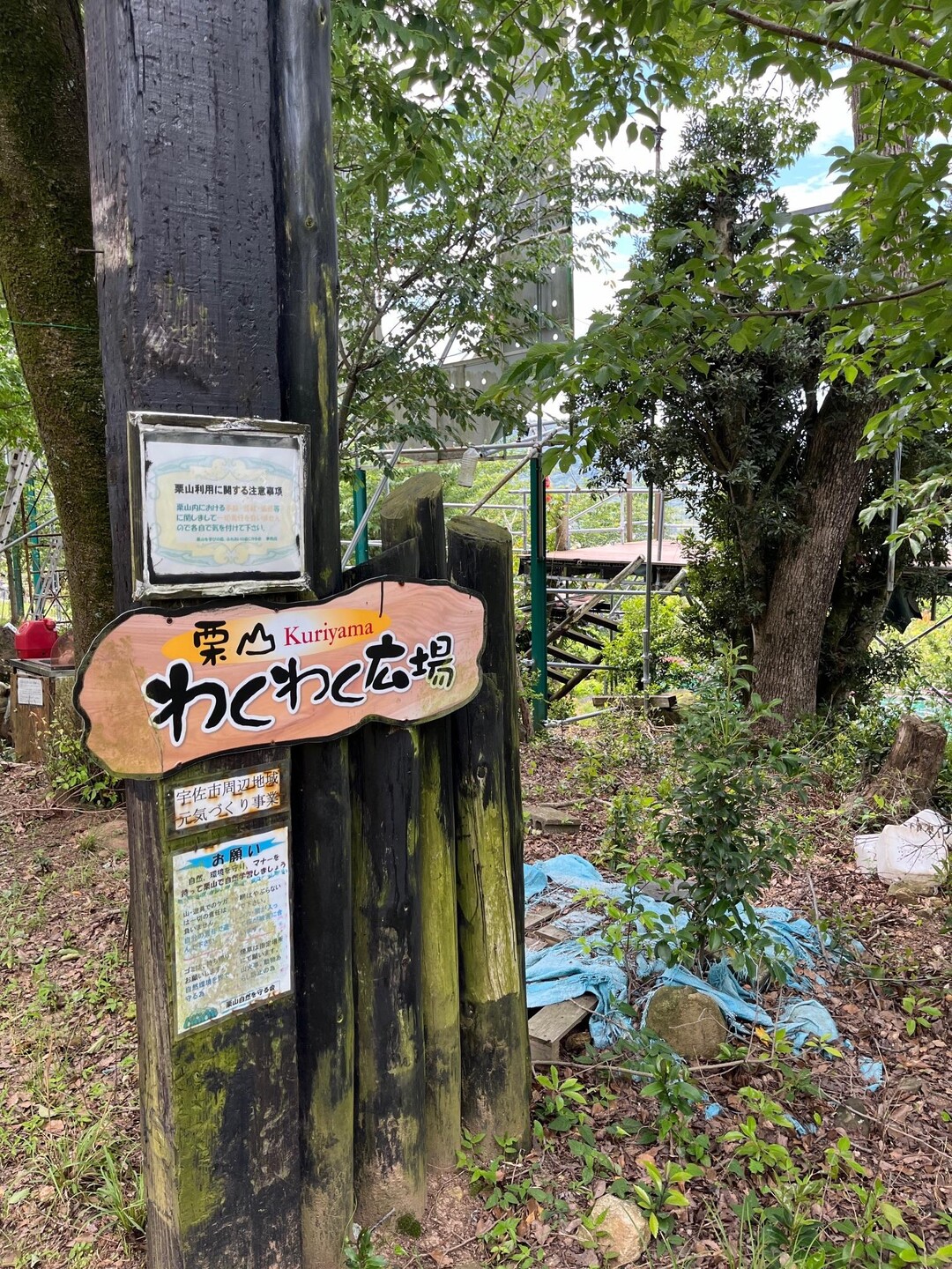 宇佐市 有名なUSA山まで登ってみたかった！ / しんのしんさんの御許山・雲ヶ岳・米神山の活動データ | YAMAP / ヤマップ